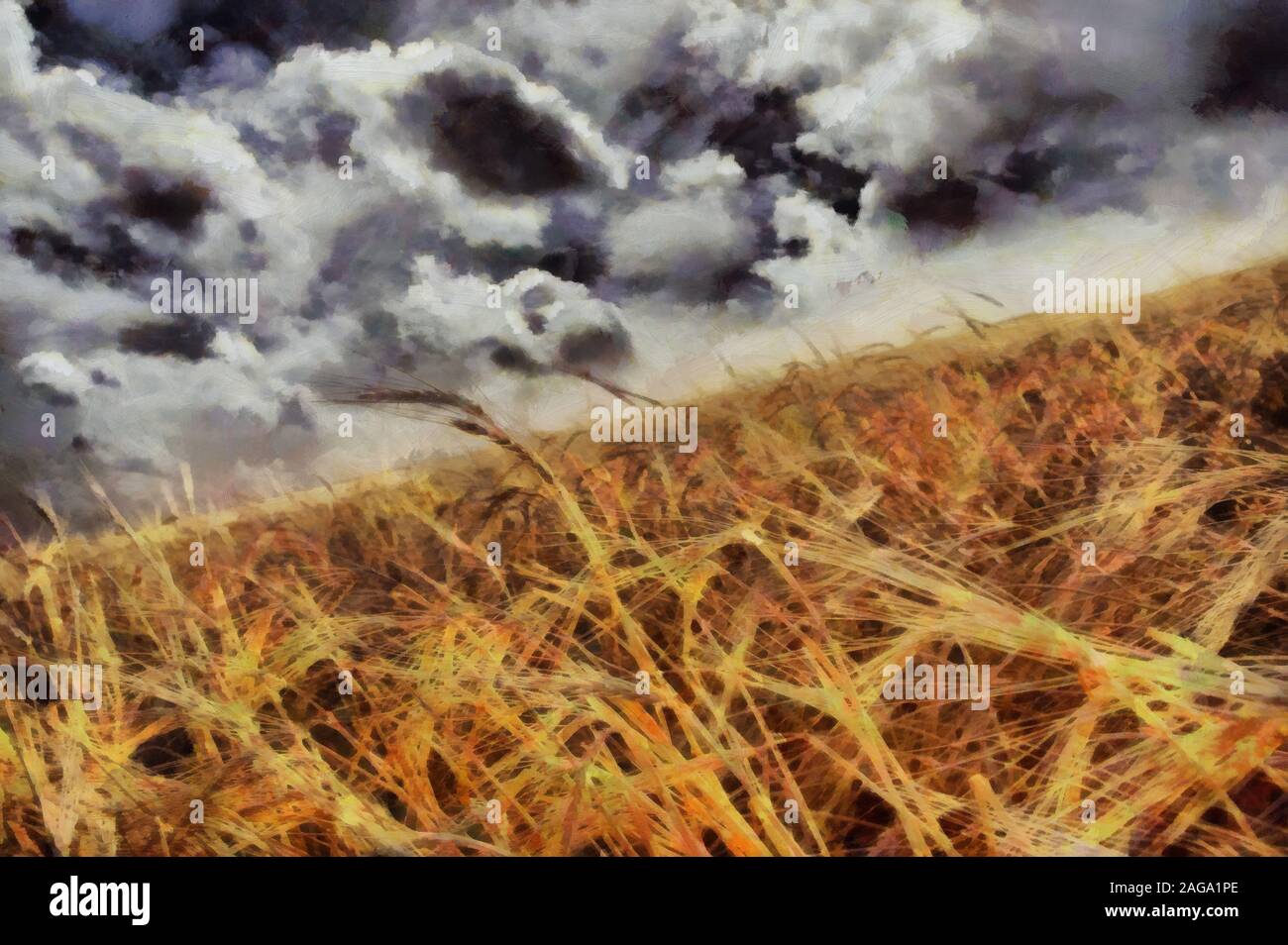 Wheat Field Painting High Resolution Stock Photography and Images - Alamy