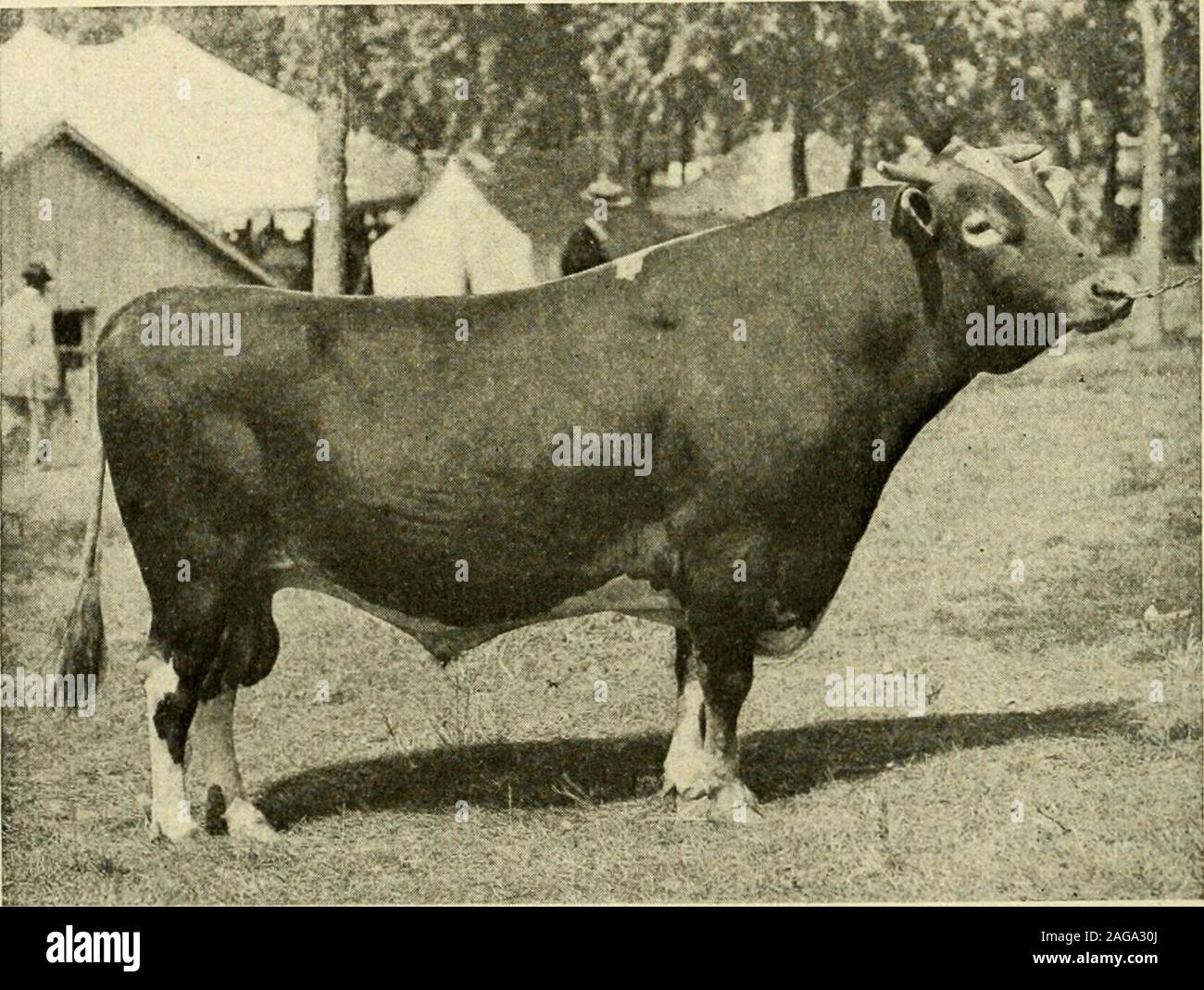 Fairly wide neck hi-res stock photography and images - Alamy