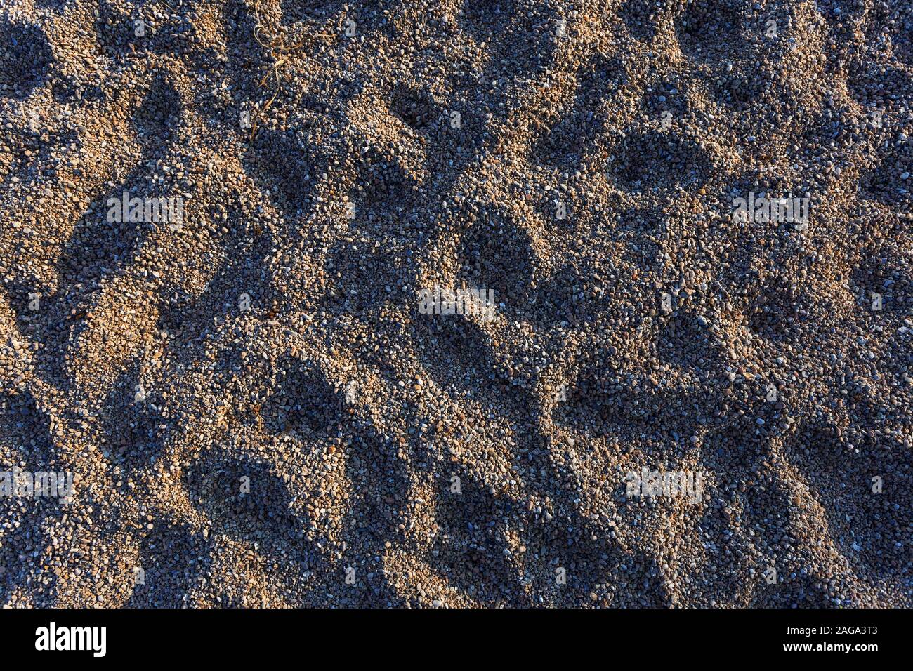 Interesting textures hi-res stock photography and images - Alamy