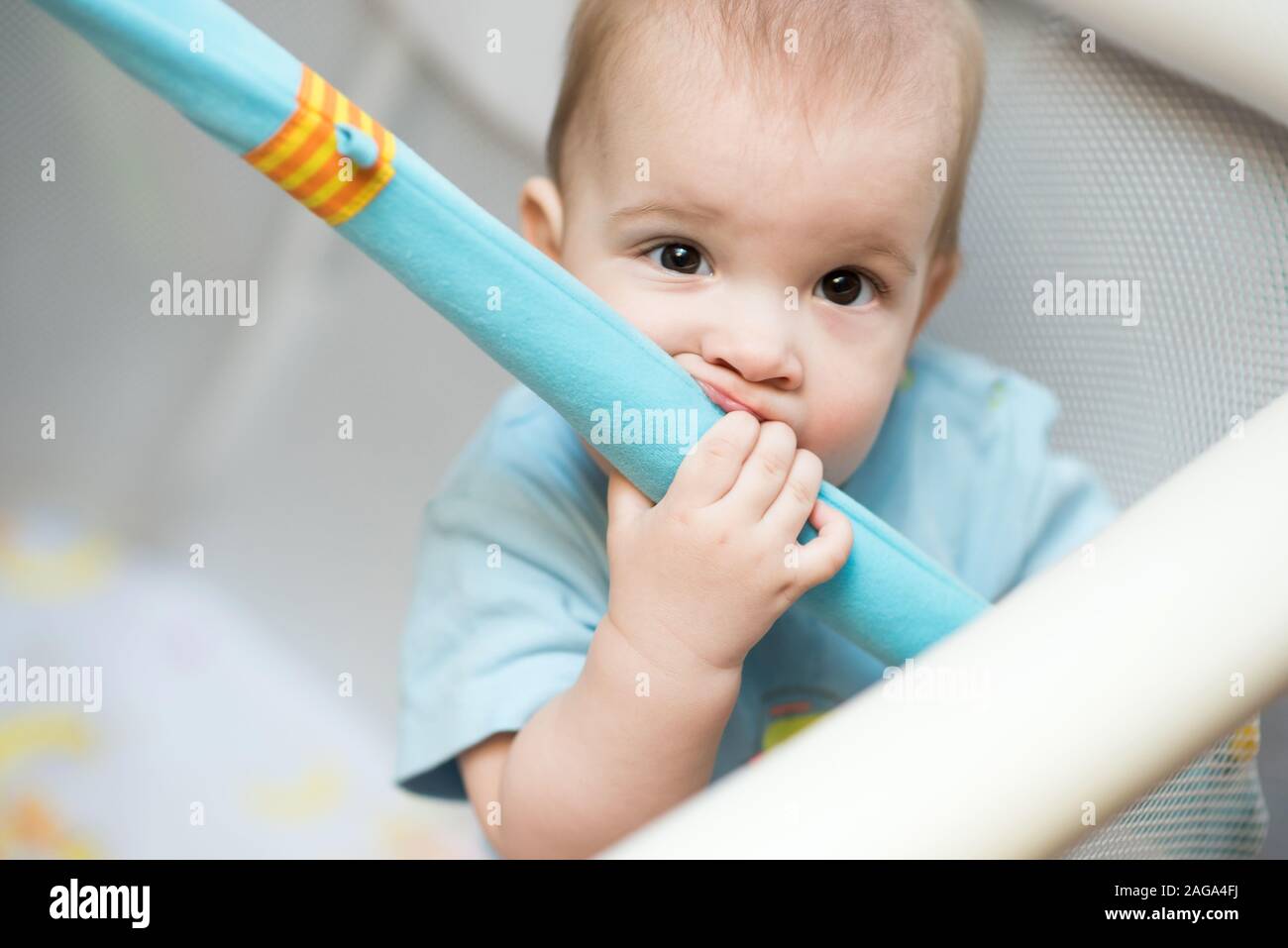 Infant toddler chewing hi-res stock photography and images - Alamy