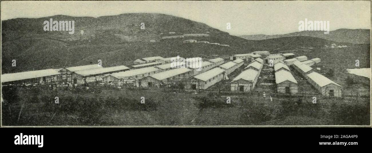 Boer prisoners hi-res stock photography and images - Alamy