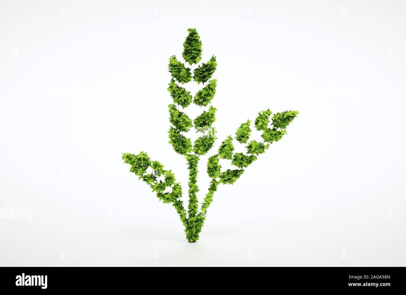 Green wheat sign isolated on white background. 3D illustration Stock ...