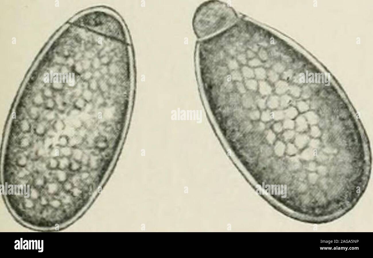 . Public health and preventive medicine. a). When ripe the terminal ...