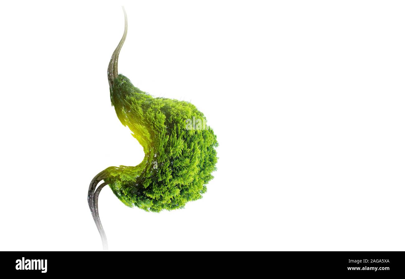 The tree (stomach) is a 3D illustration of the medical environmental ...