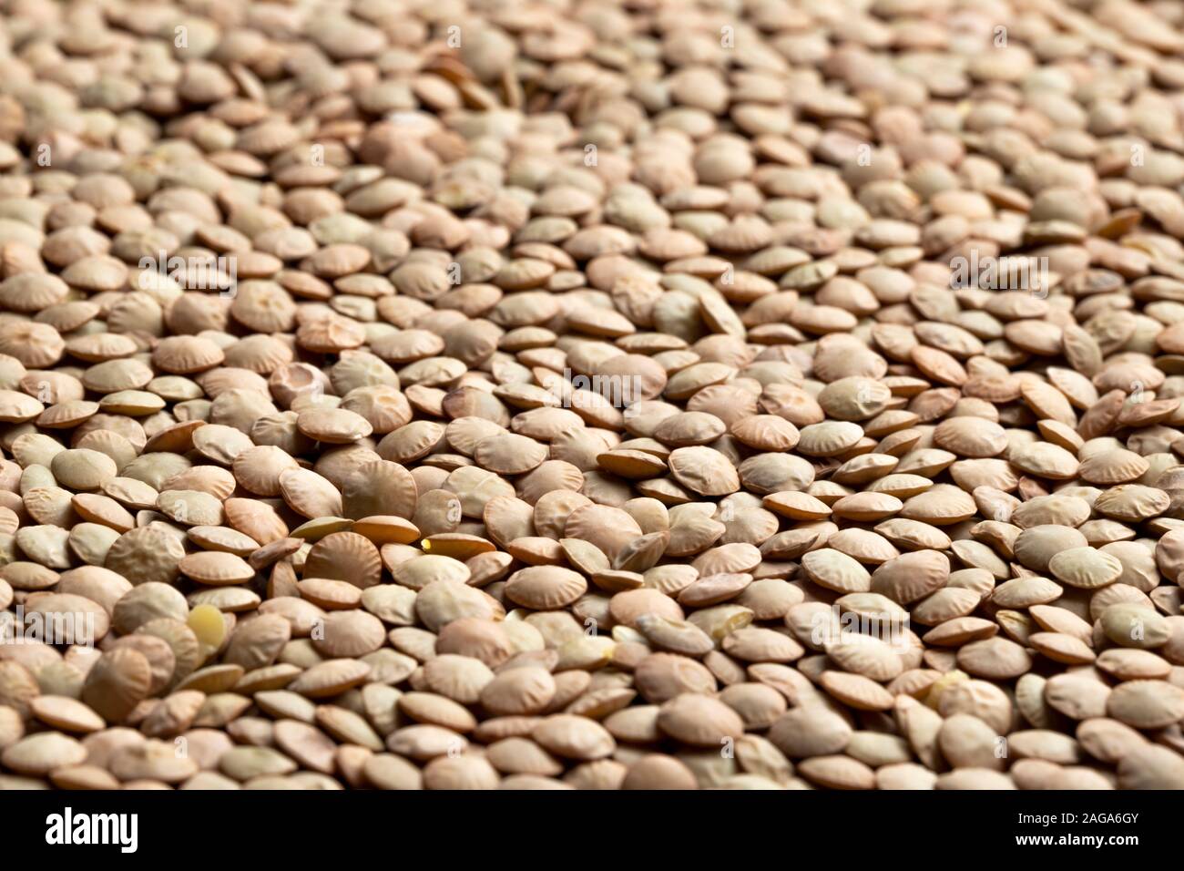 Pile of raw lentils uncooked Stock Photo - Alamy