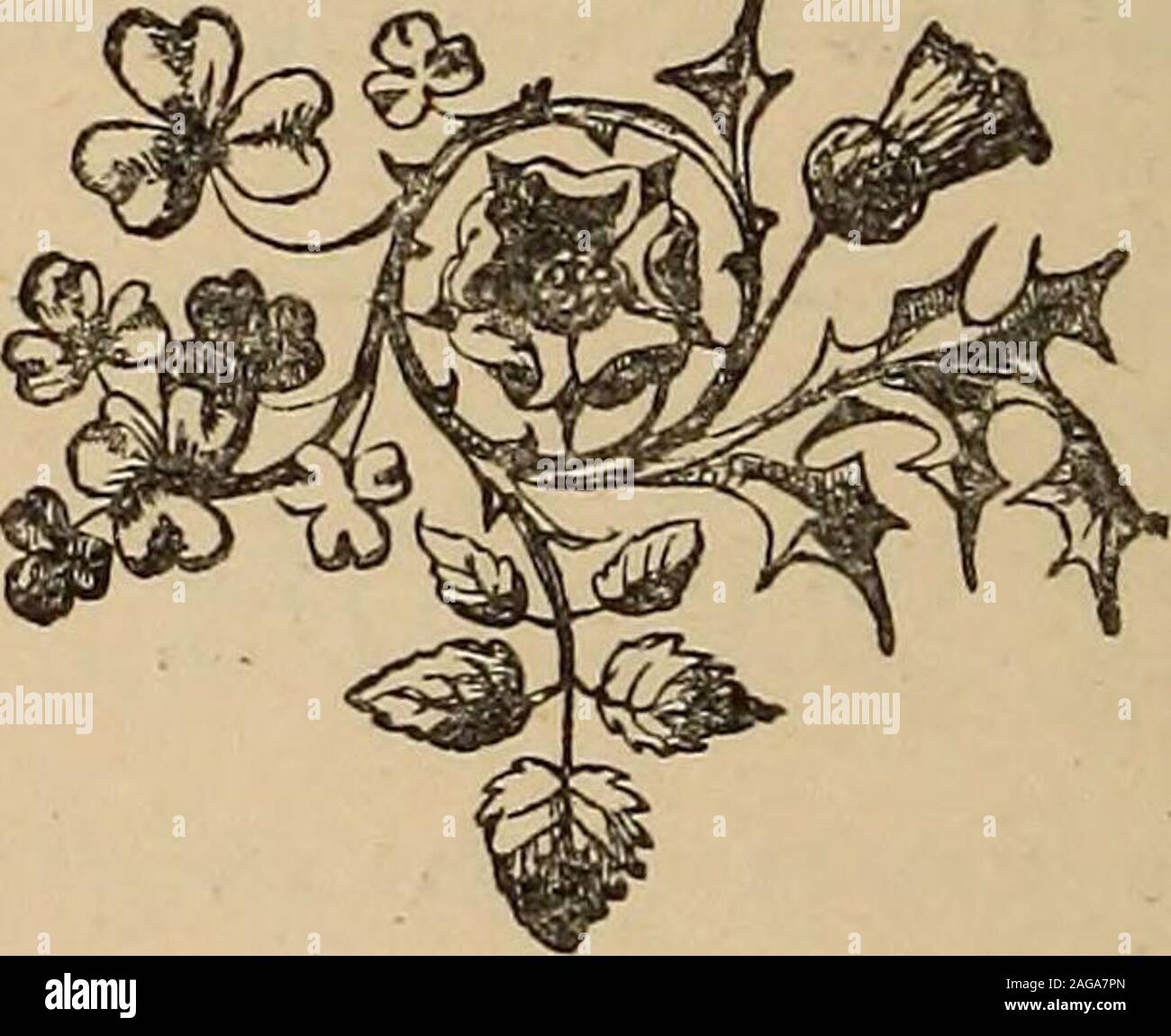 Moabite hi-res stock photography and images - Alamy