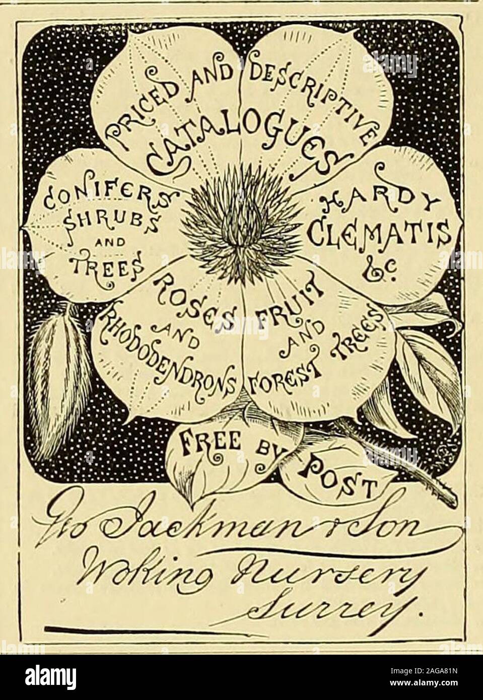 John standish hi-res stock photography and images - Alamy