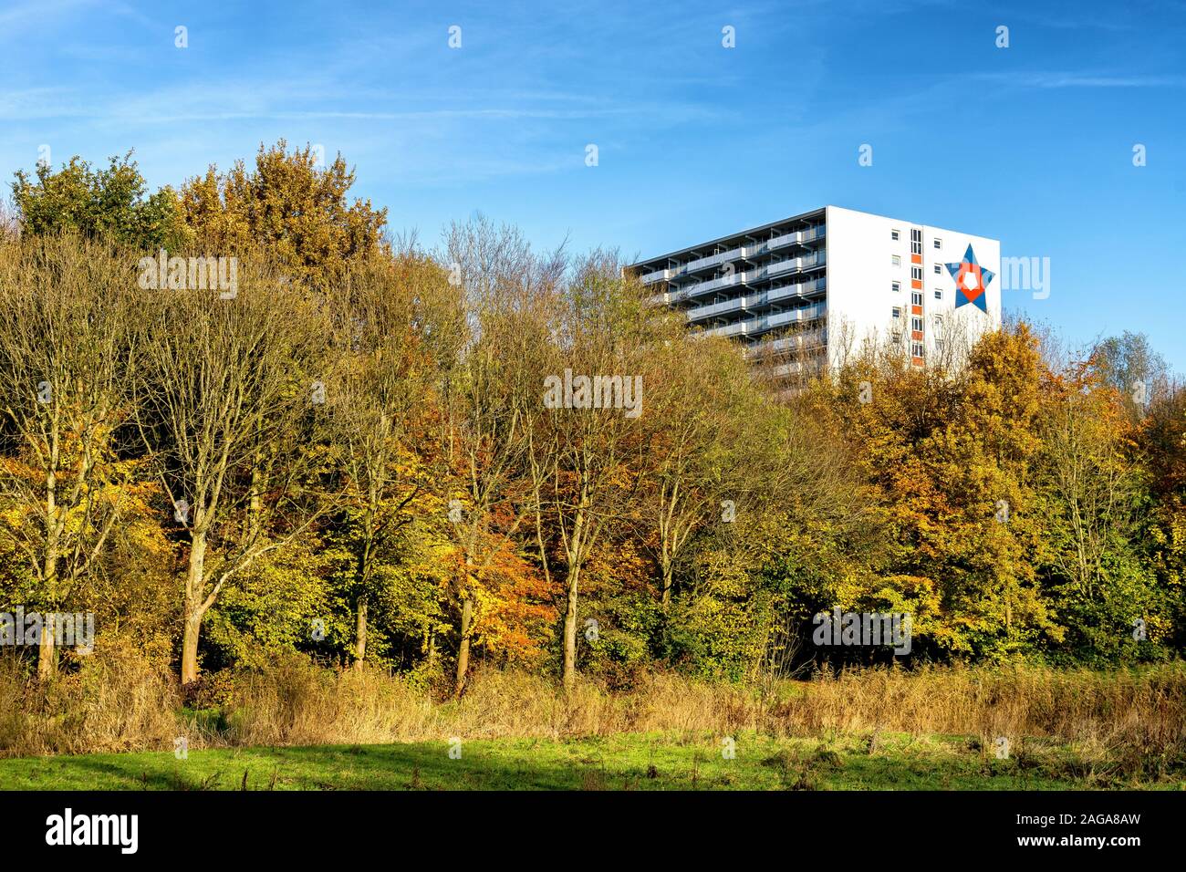 Park in the hague hi-res stock photography and images - Alamy