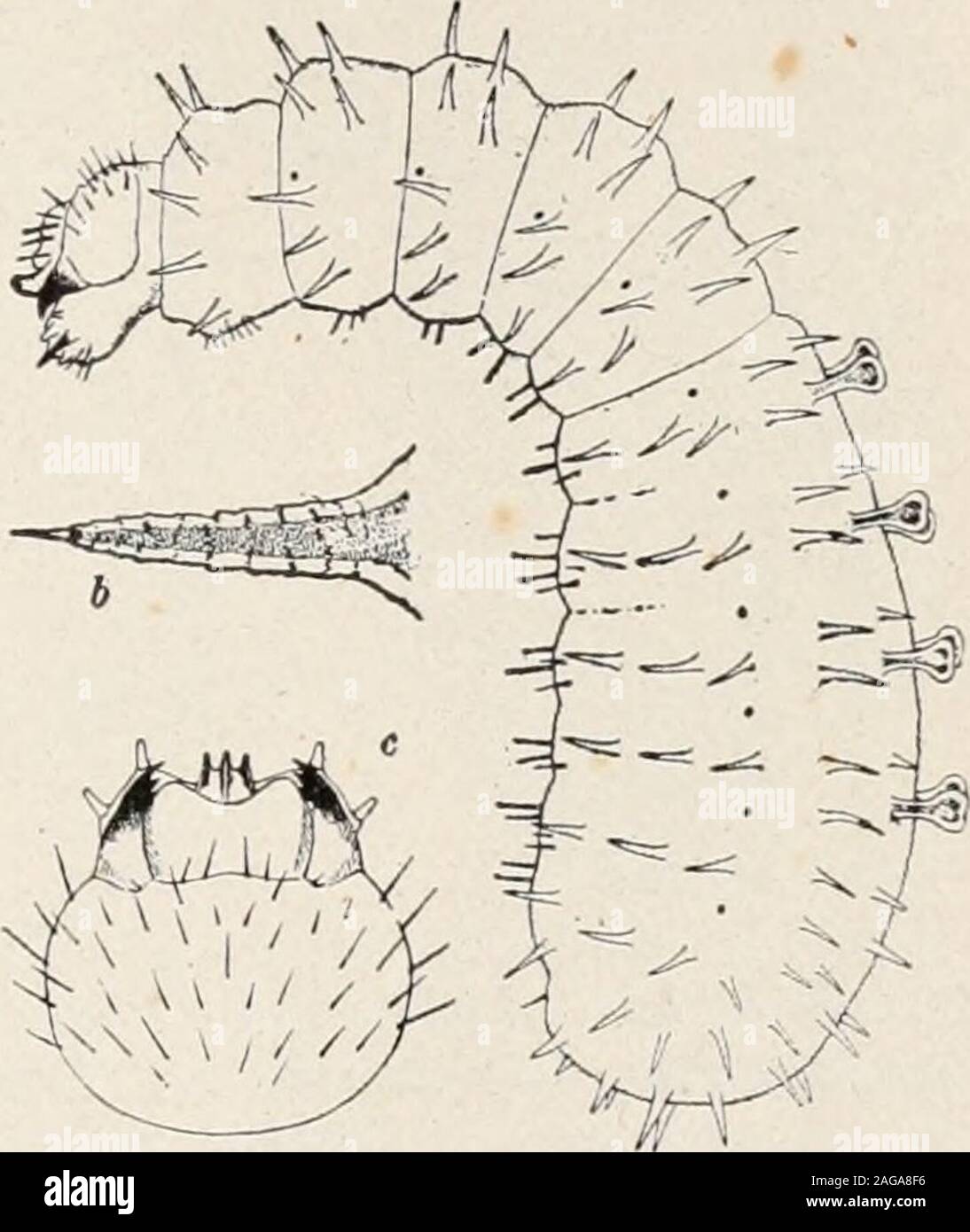 Two tubular forms hi-res stock photography and images - Alamy