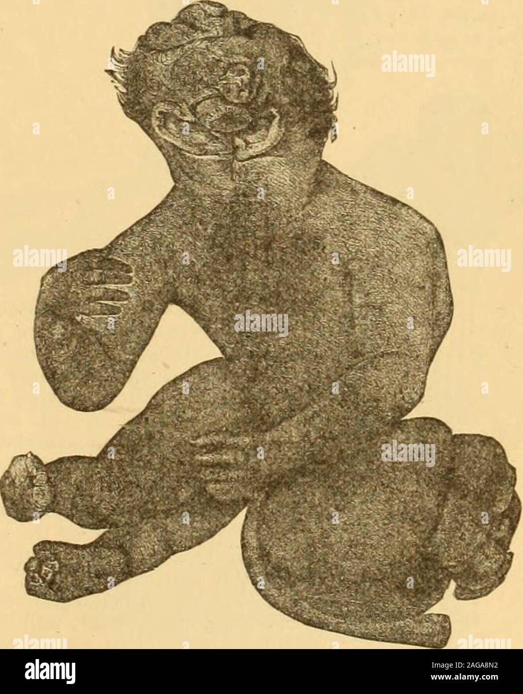 Cyclopia hi-res stock photography and images - Alamy