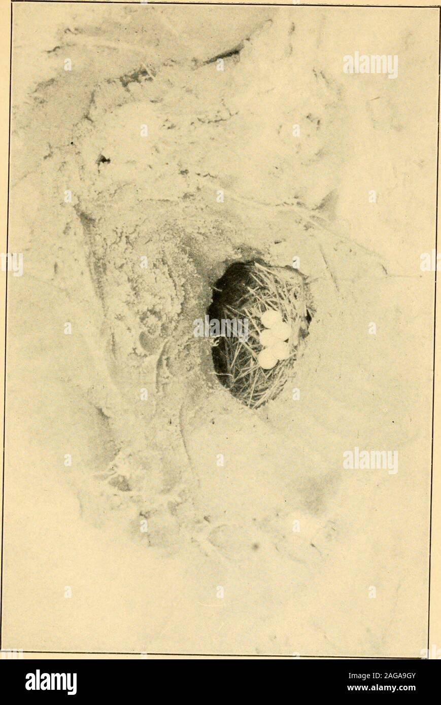 Burrows pit hi-res stock photography and images - Alamy