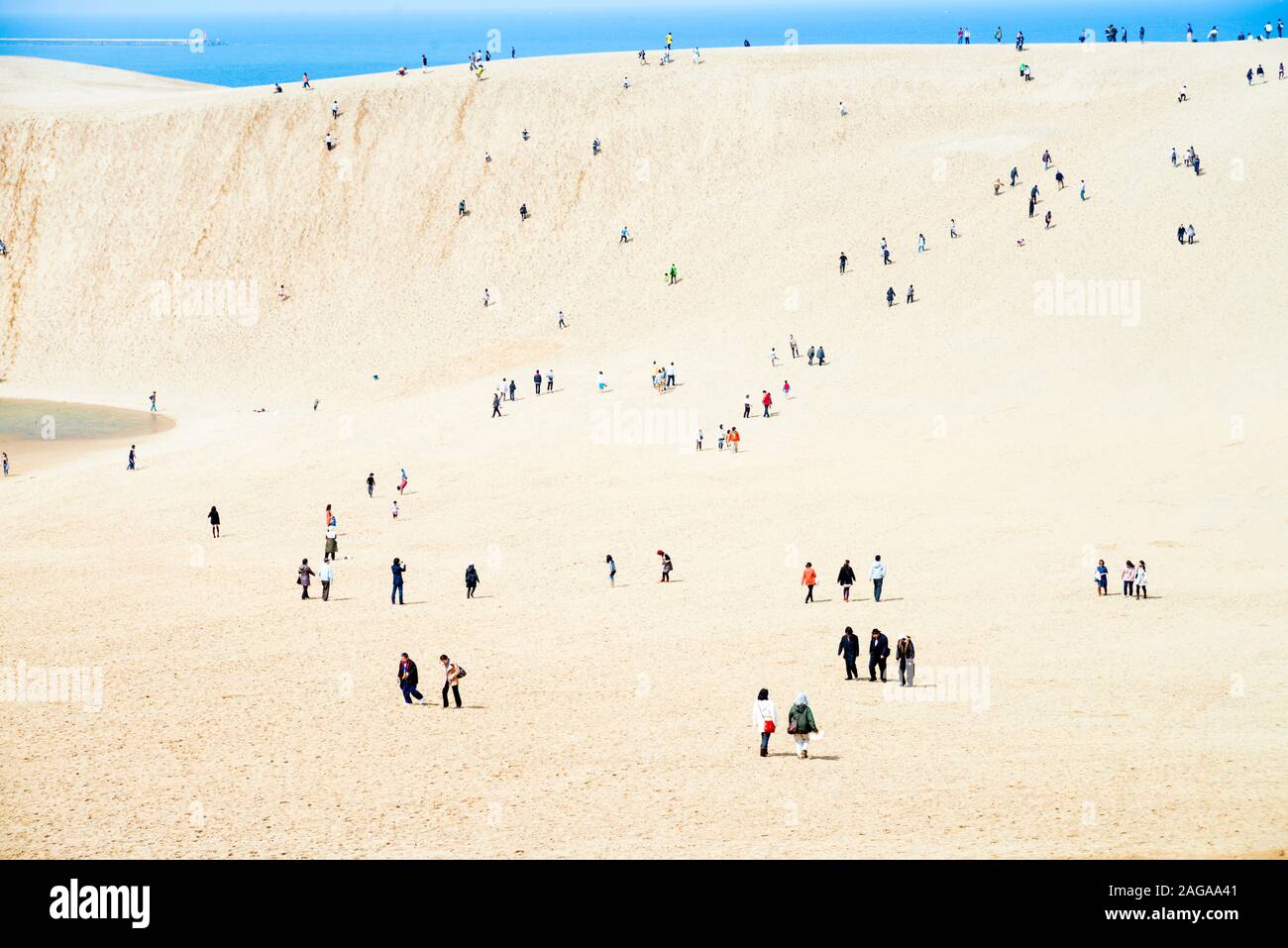 Uedo cho hi-res stock photography and images - Alamy