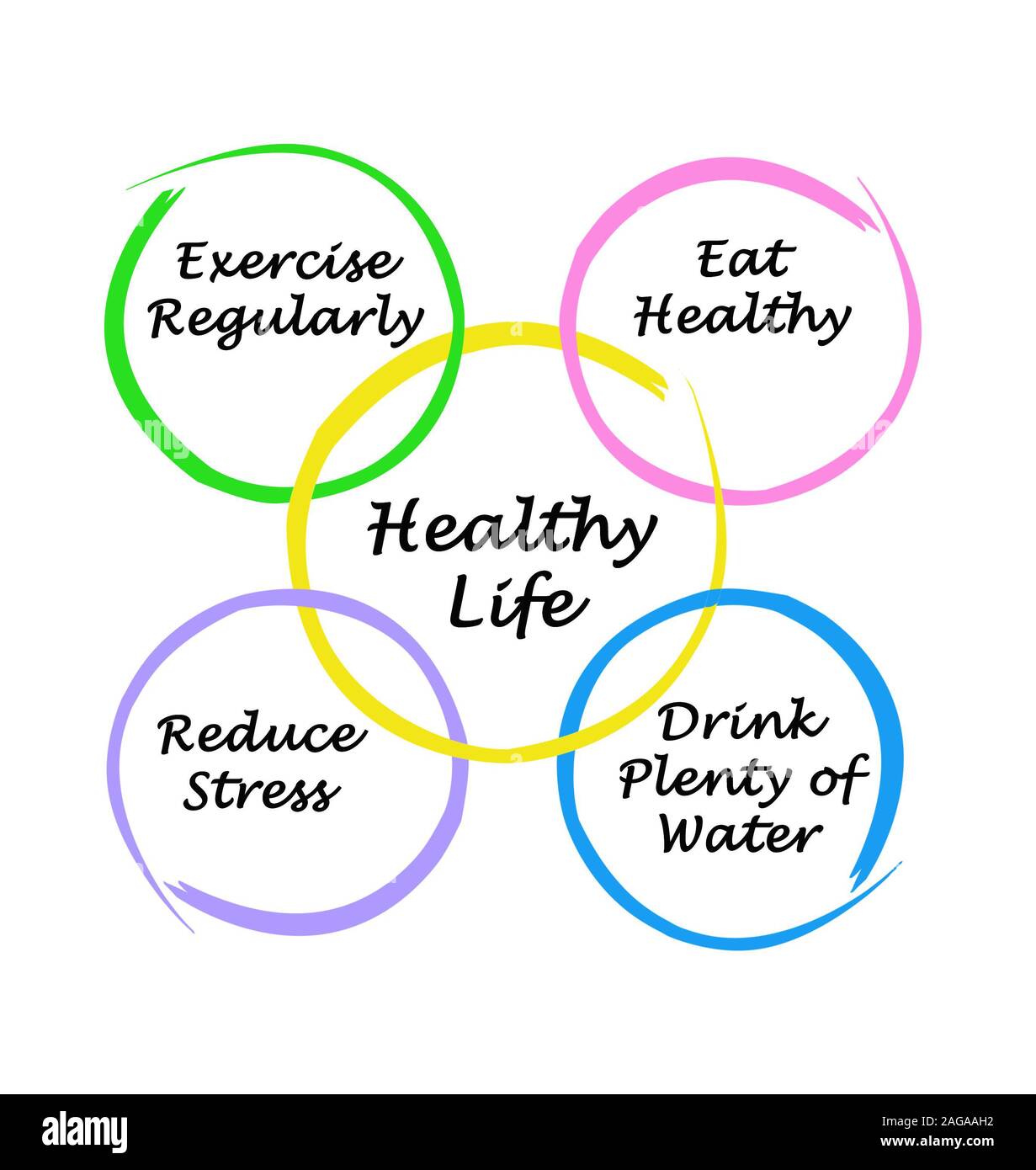Diagram of healthy life Stock Photo - Alamy
