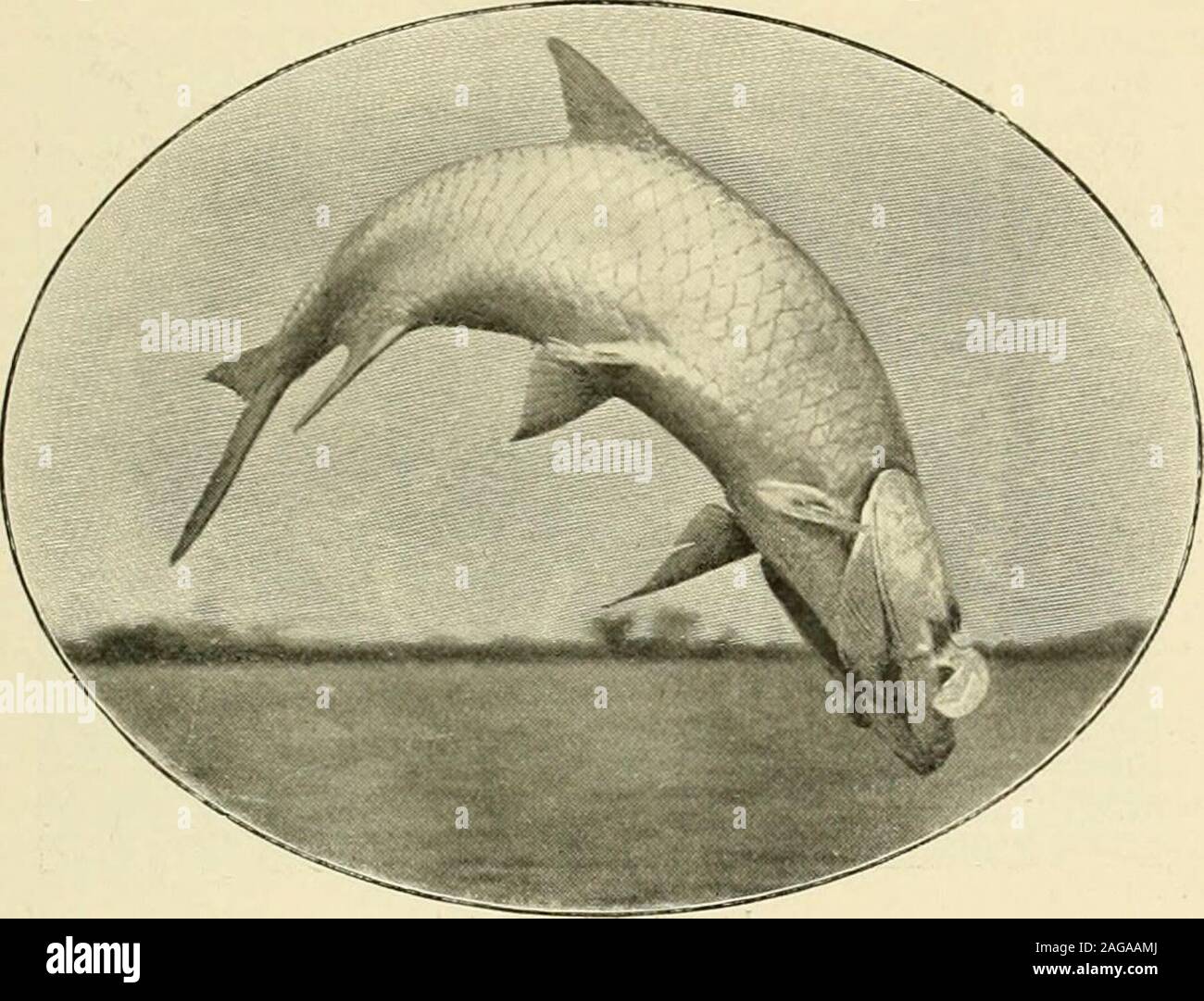Hook bent sideways hi-res stock photography and images - Alamy