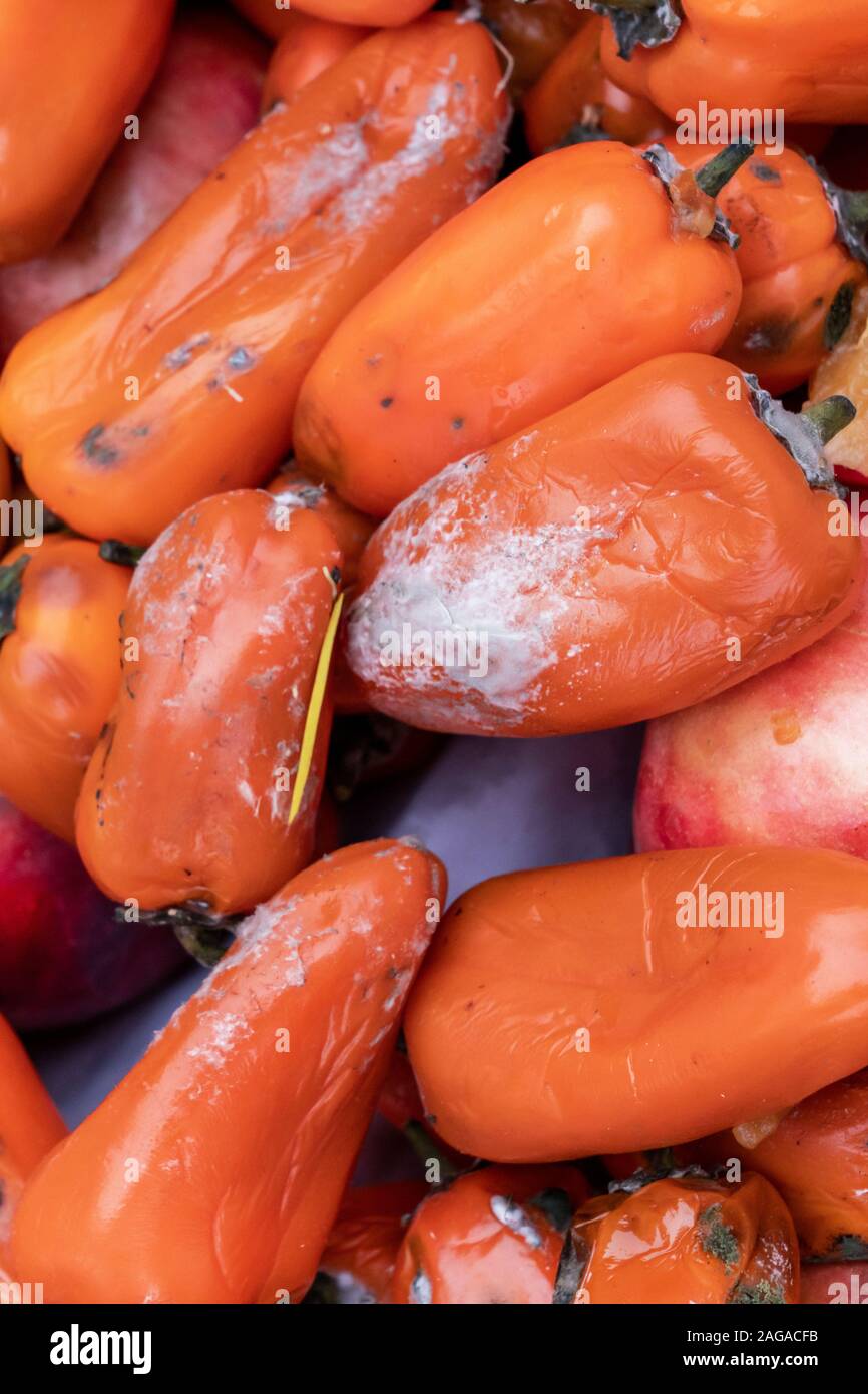 Rotten vegetables hi-res stock photography and images - Alamy