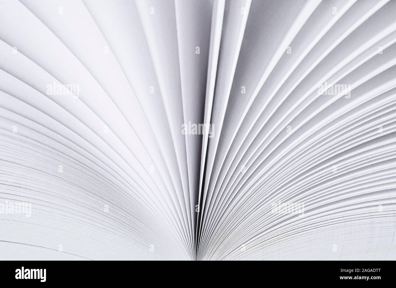 White Book Cover High Resolution Stock Photography and Images - Alamy