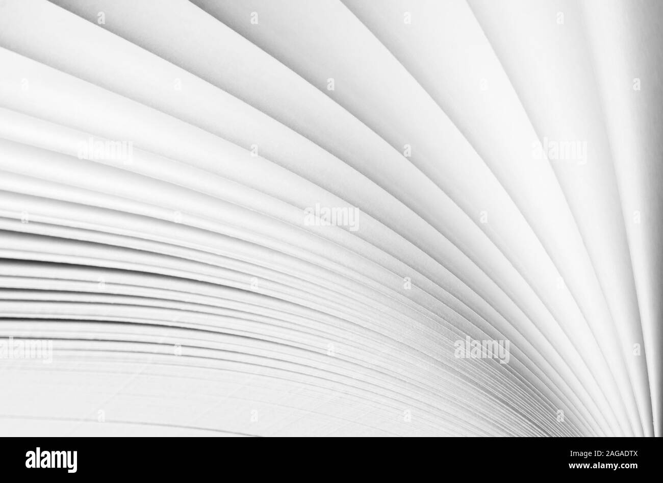 Blurred. A light background from the white pages of a white open book ...