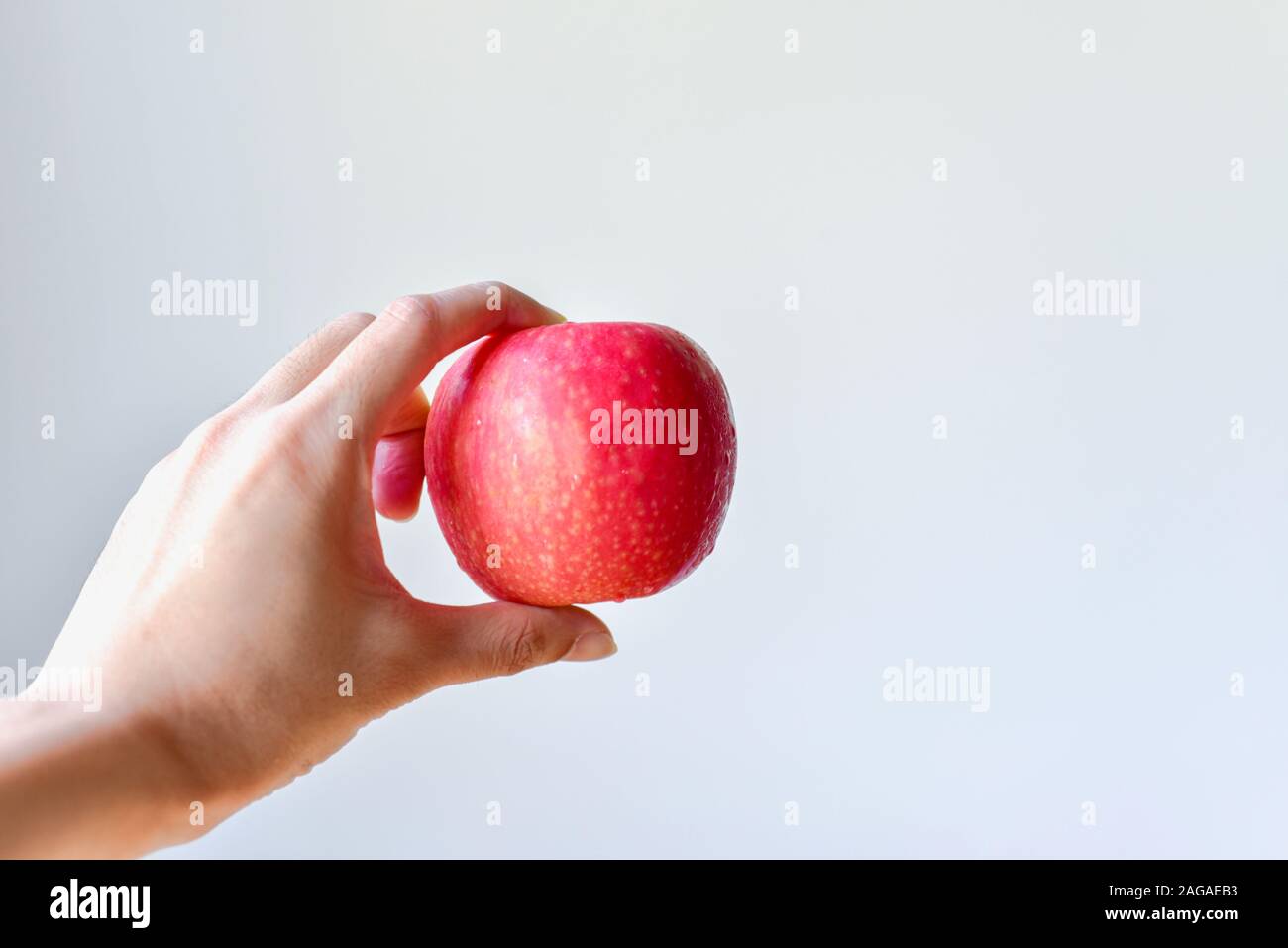 Hand Holding Red Apple Isolated on White Background Stock Photo - Alamy