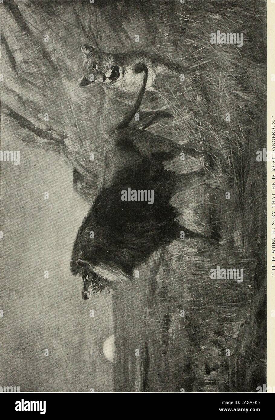 Plaintive cry hi-res stock photography and images - Alamy