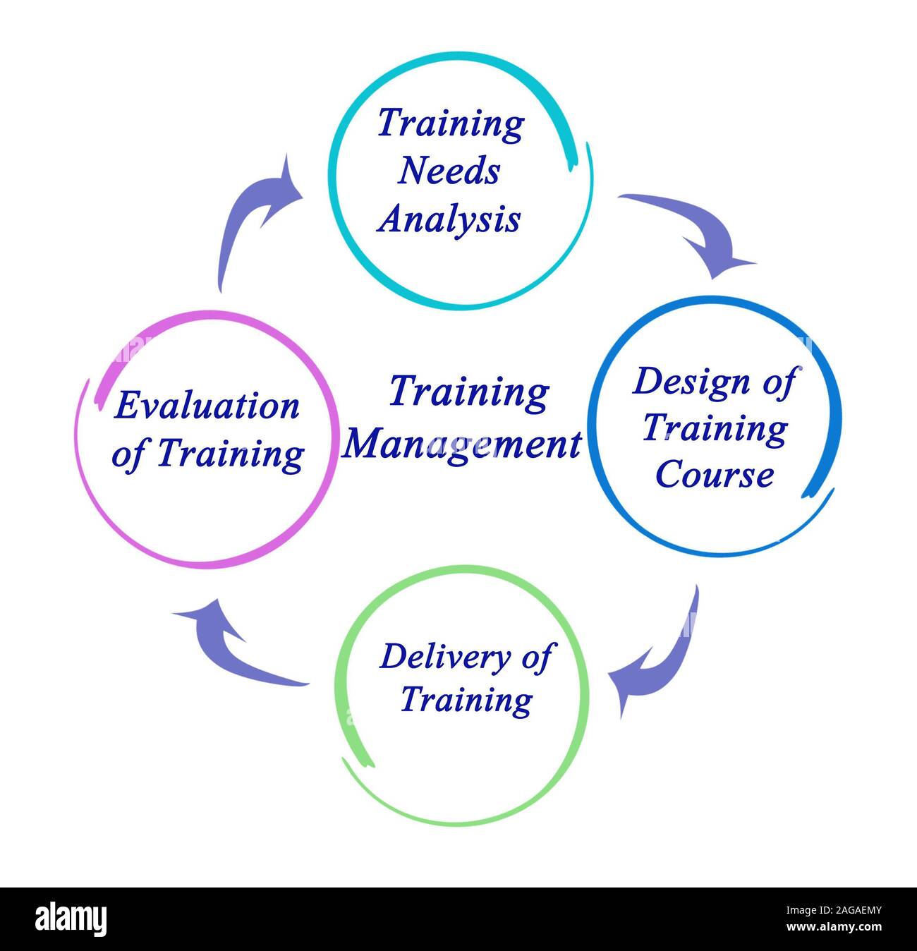 Four components of Training Management Stock Photo - Alamy