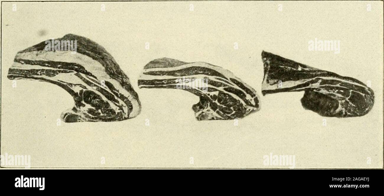 Half beef carcass hi-res stock photography and images - Alamy