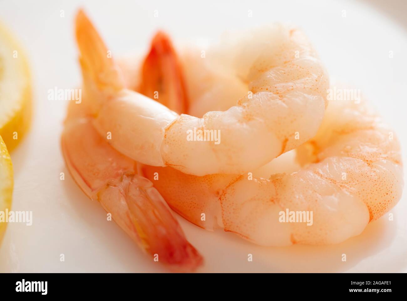 Detailed view of cooked and peeled pink prawns or shrimps on bright ...