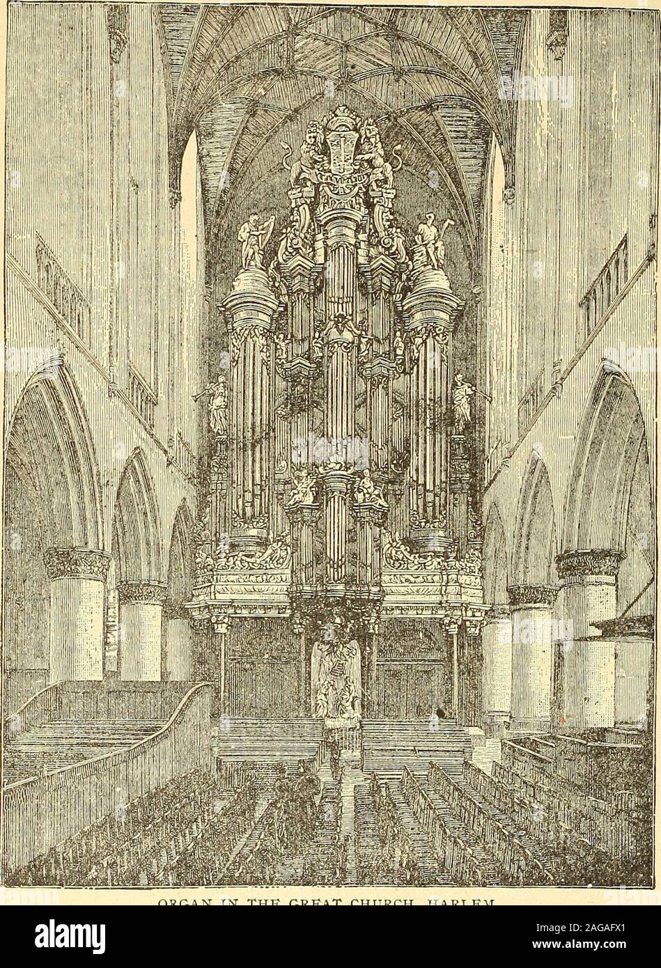 Ears cut off hi-res stock photography and images - Alamy