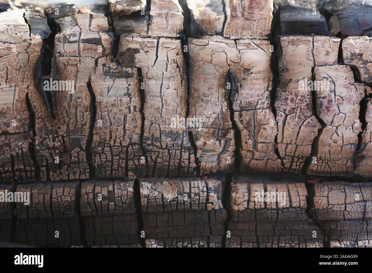 Real burned wood log hi-res stock photography and images - Alamy