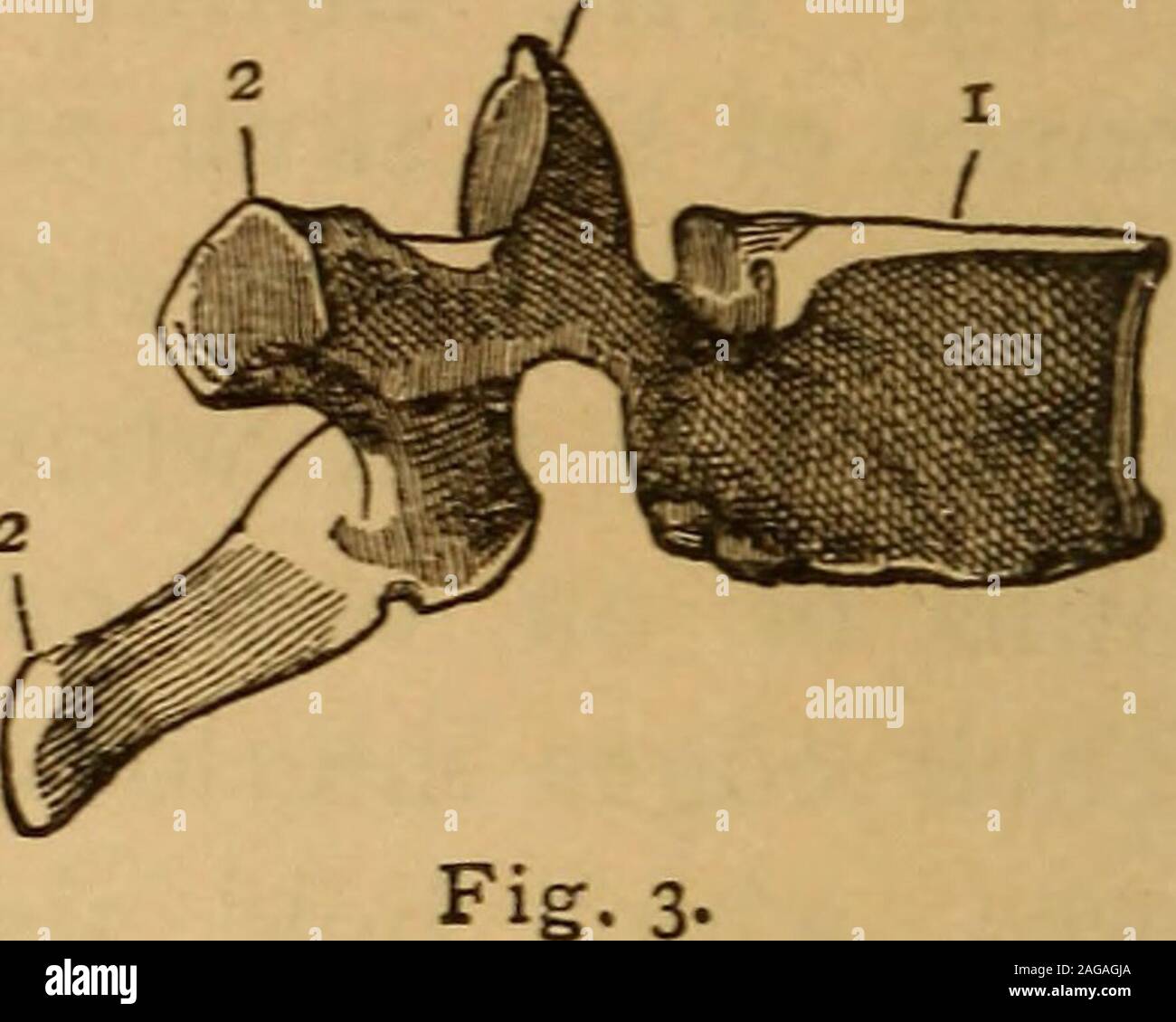 U bone bridge hi-res stock photography and images - Alamy