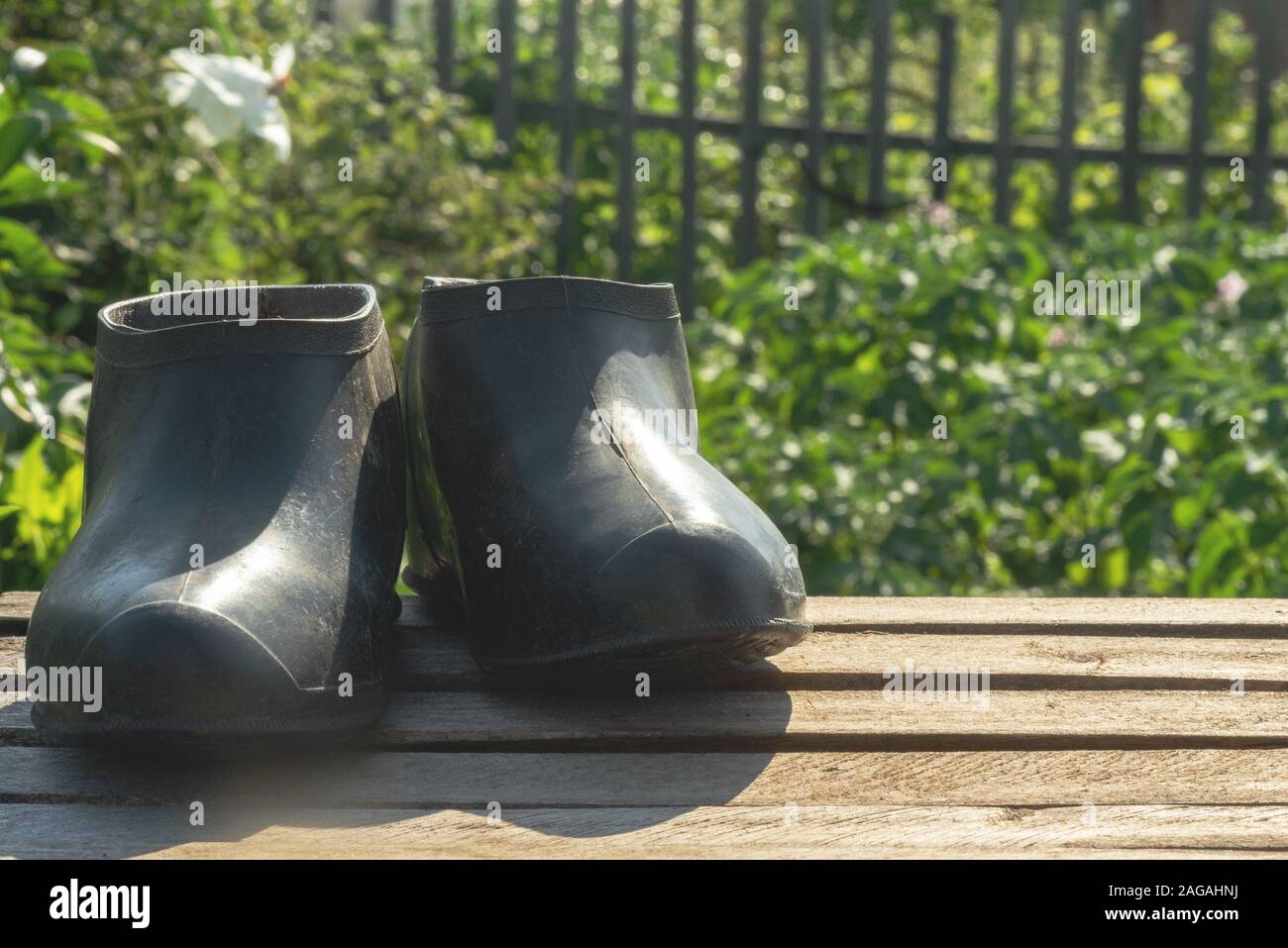 Garden shoes a galoshes on wooden bench background Stock Photo - Alamy