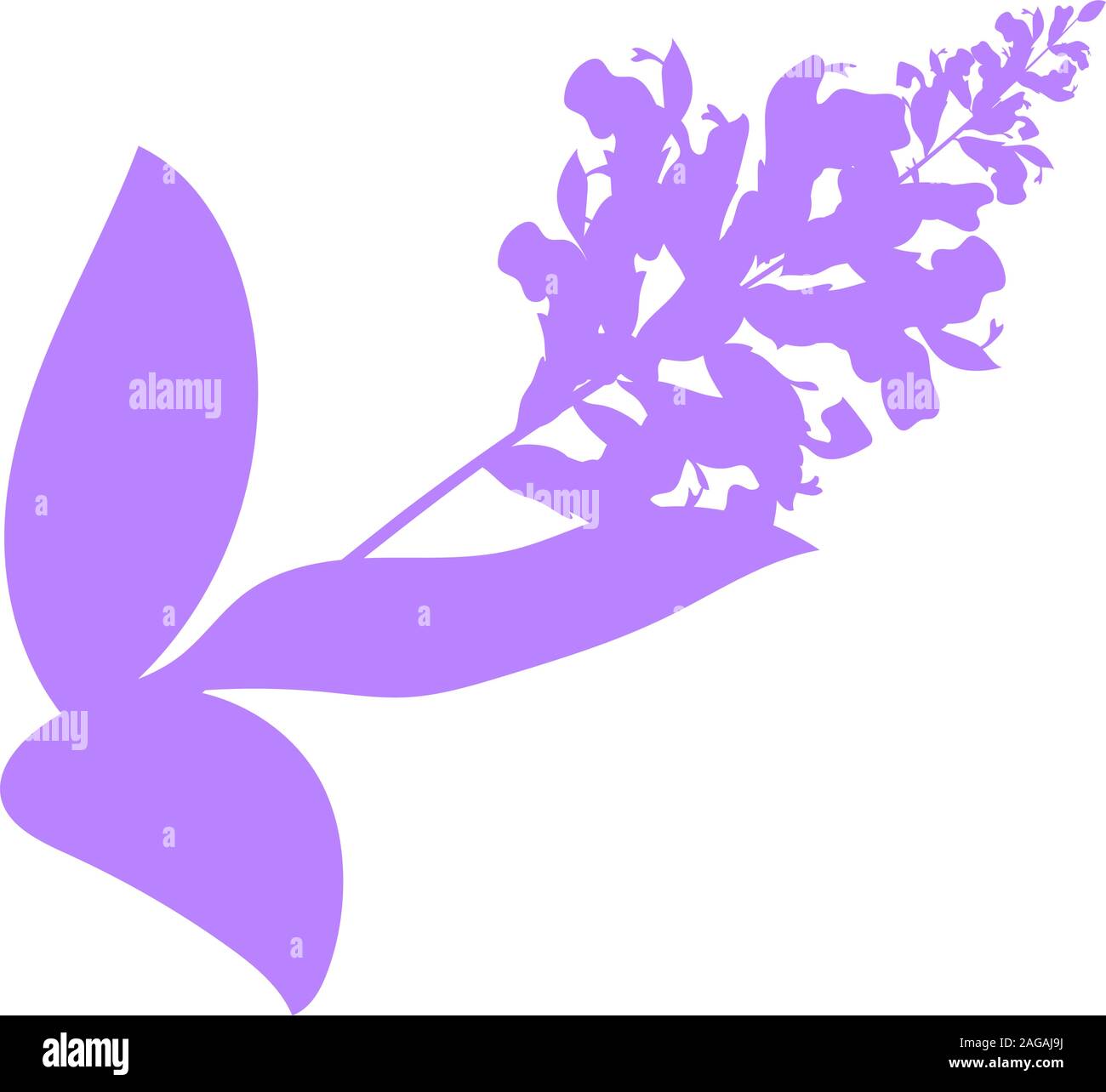 sage herb, food vector illustration, isolated logo Stock Vector Image ...