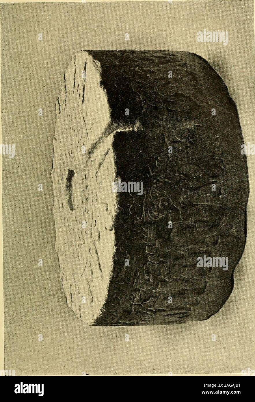 Human sacrifice peru hi-res stock photography and images - Alamy