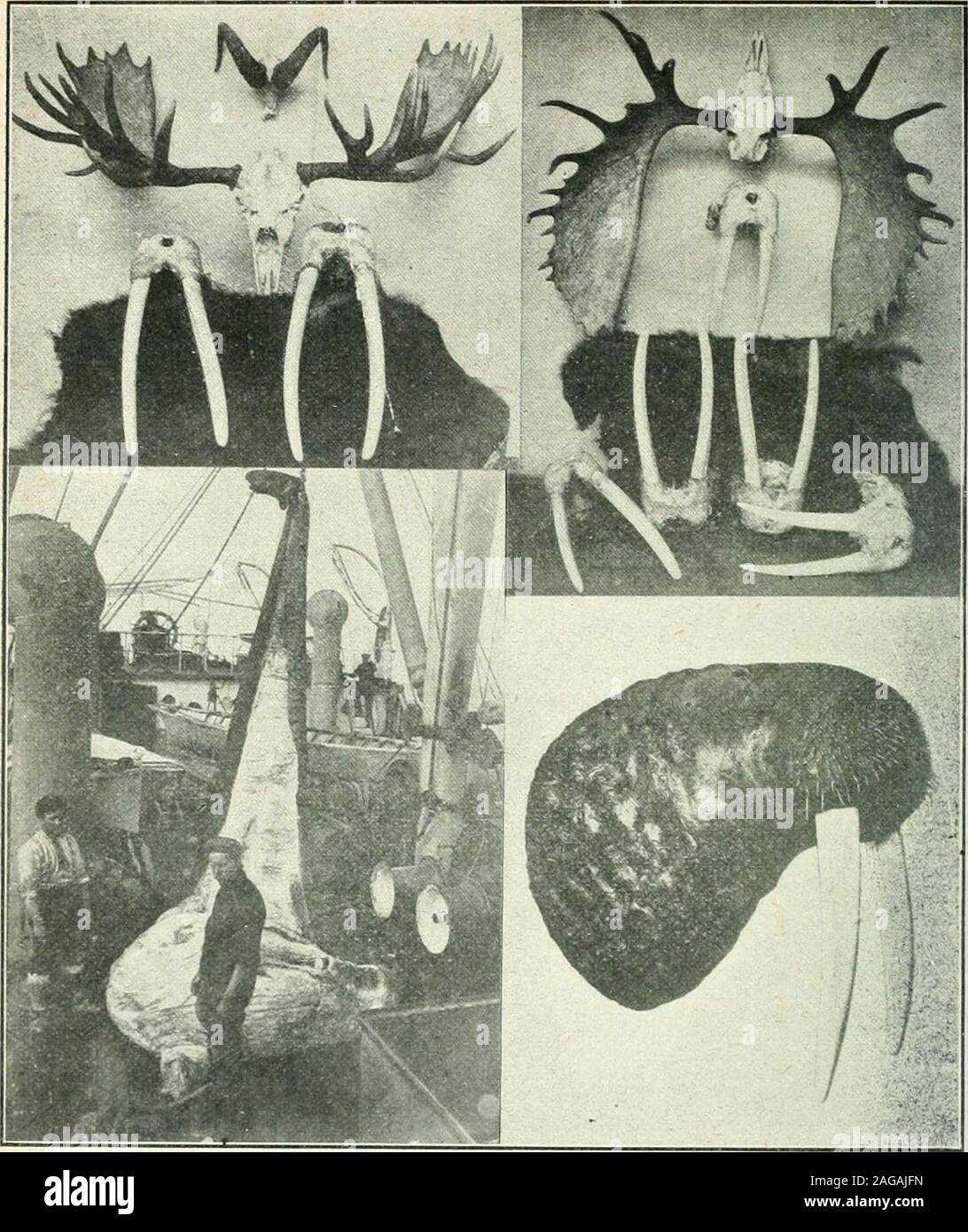 Em transit hi-res stock photography and images - Alamy