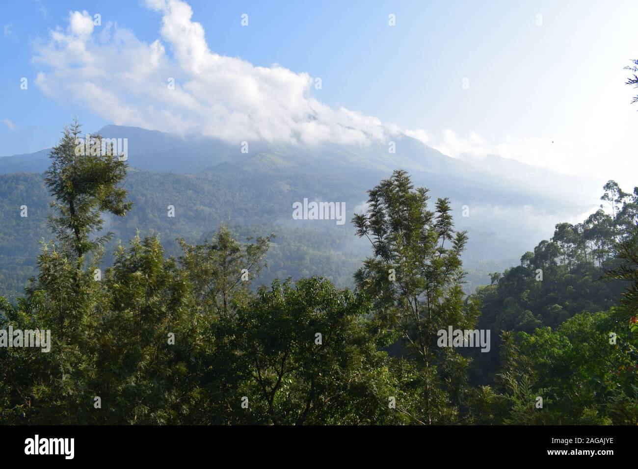 Blissful munnar hi-res stock photography and images - Alamy