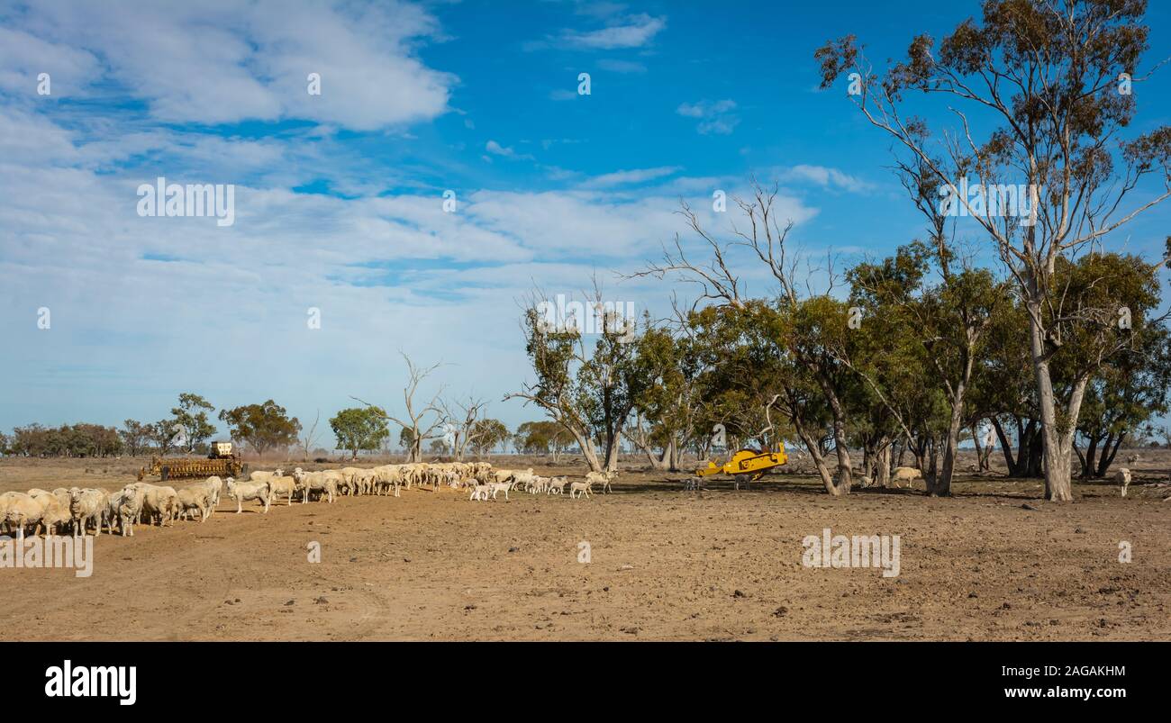 AUSTRALIA IN DROUGHT Stock Photo - Alamy