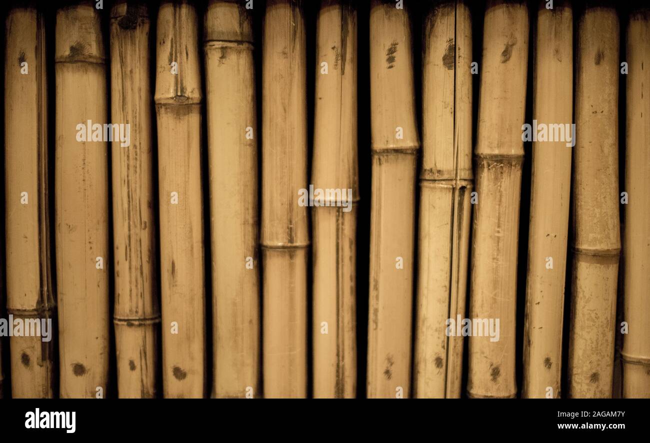 Bambo texture hi-res stock photography and images - Alamy