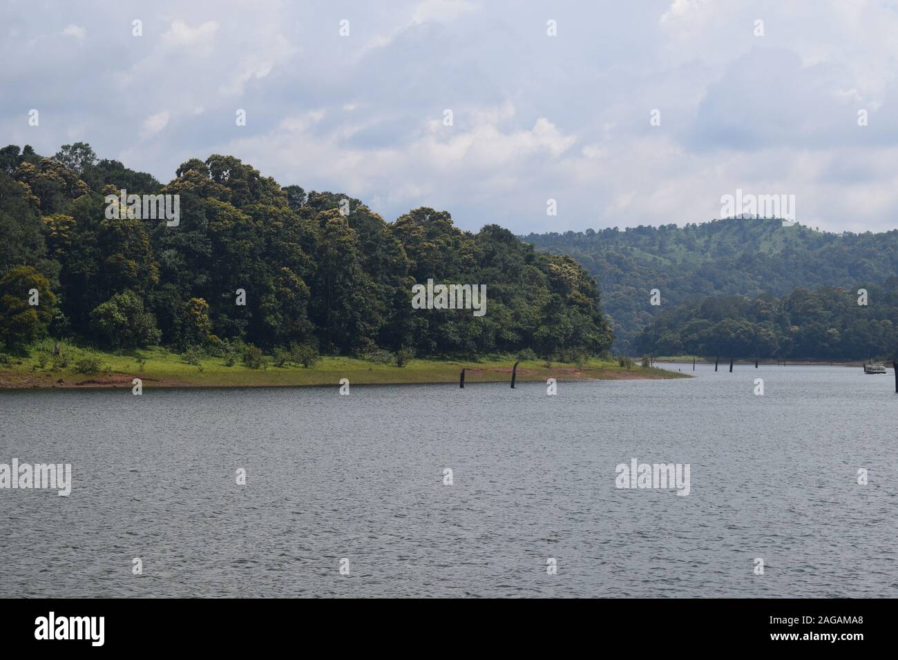 Periyar River and Wildlife Sanctuary in Kerala Stock Photo - Alamy