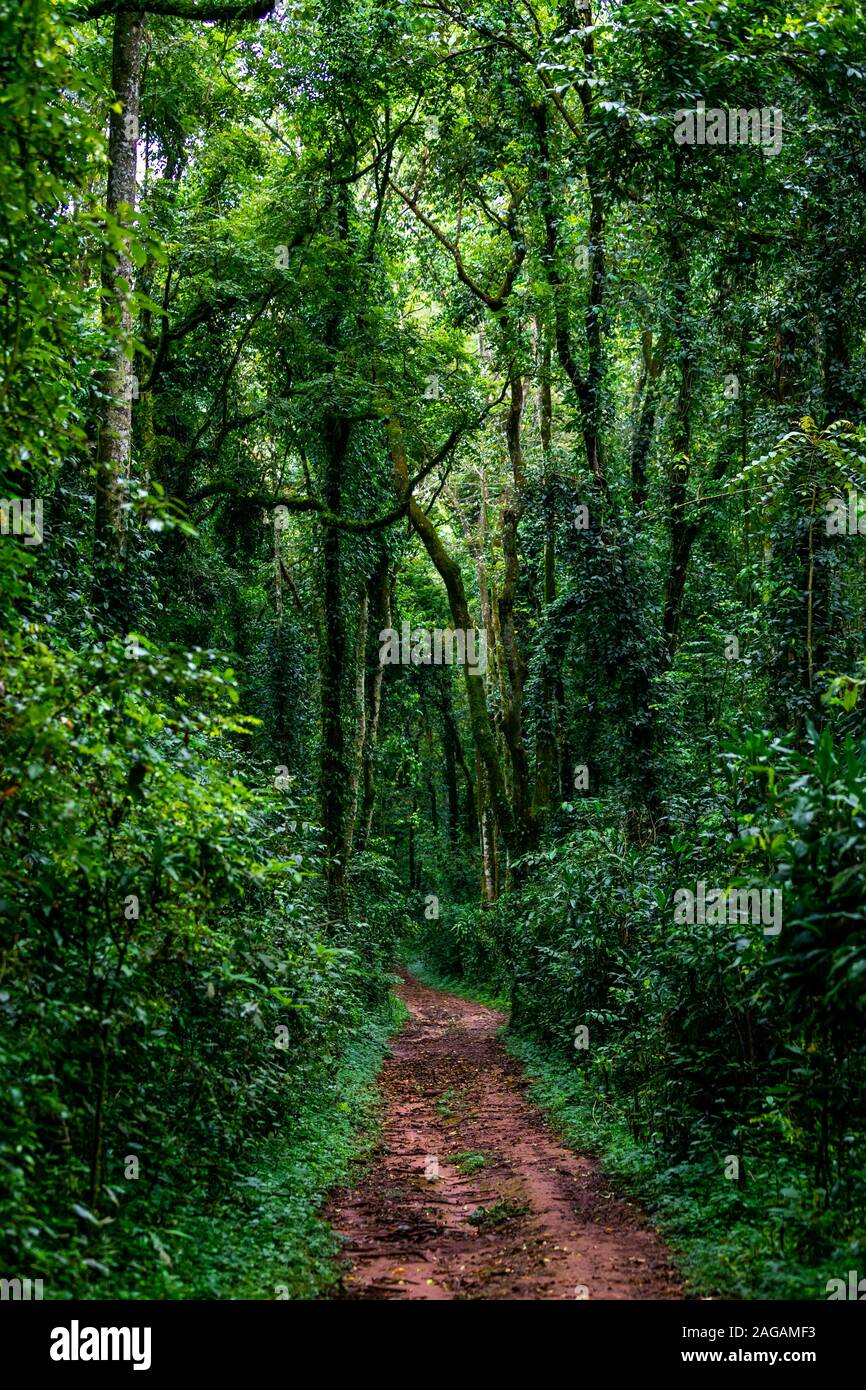 Gabon and kenya hi-res stock photography and images - Alamy
