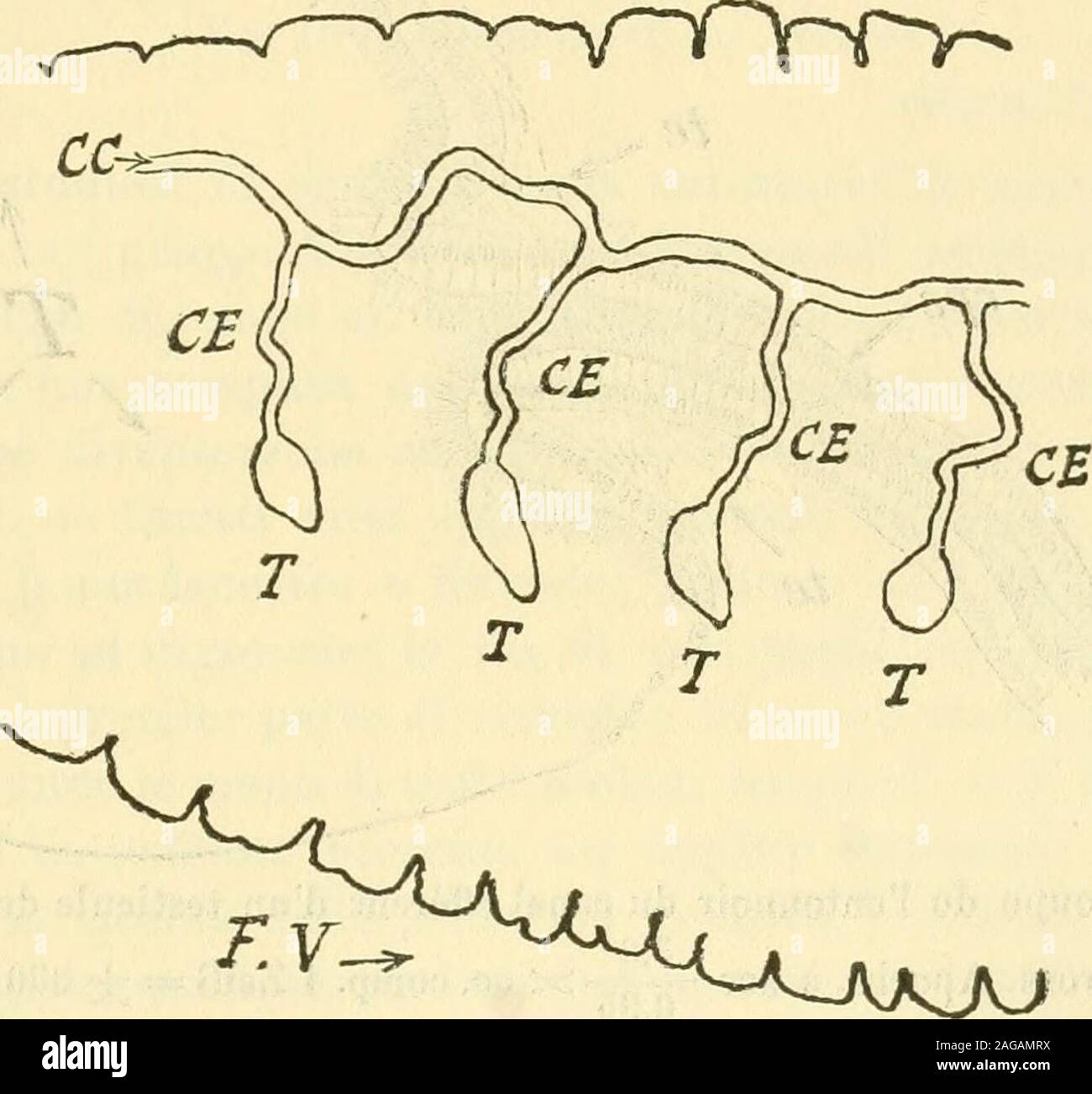 étonnée hi-res stock photography and images - Alamy