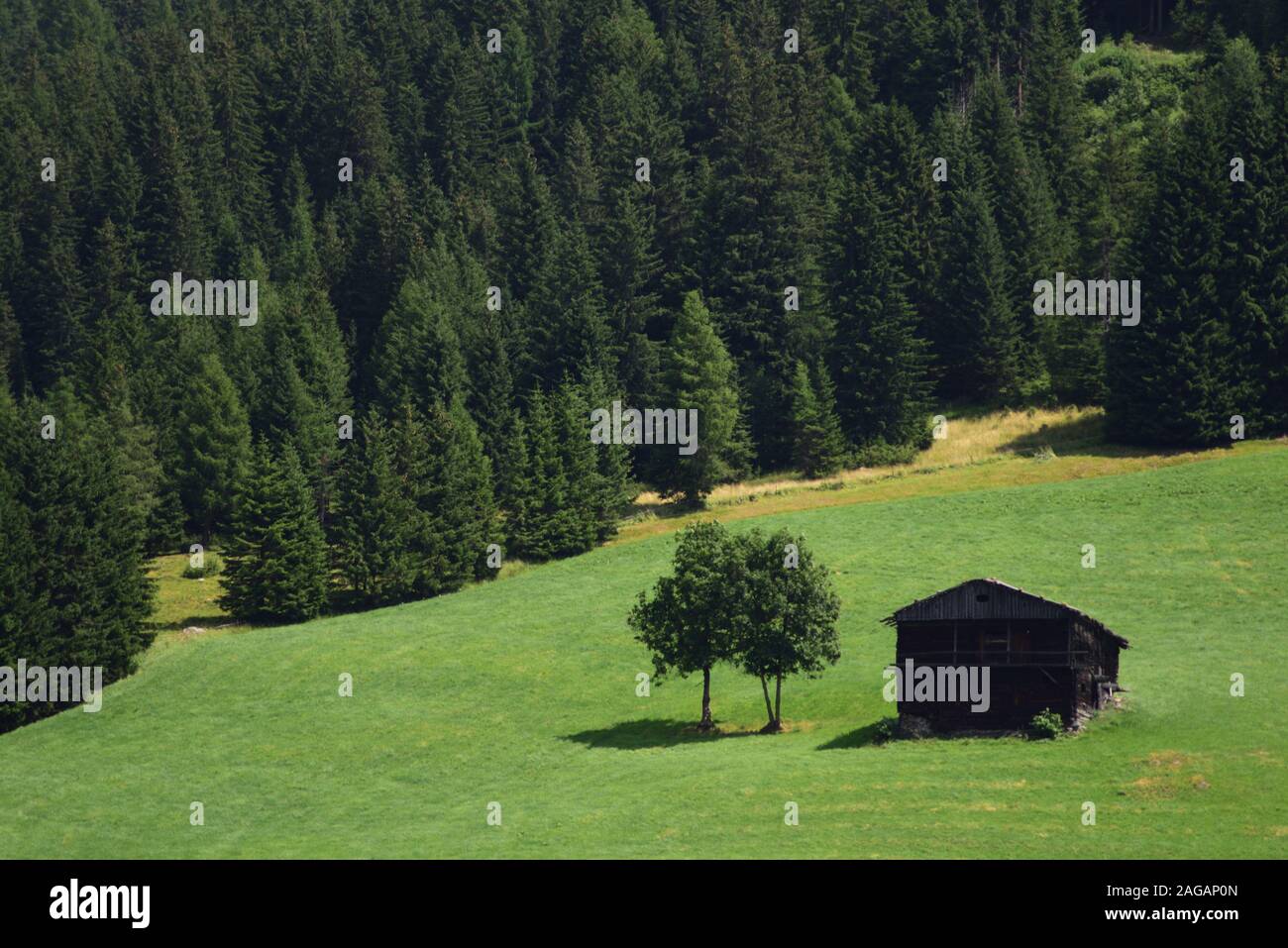 Rural scene with an old barn in a green meadow Stock Photo - Alamy