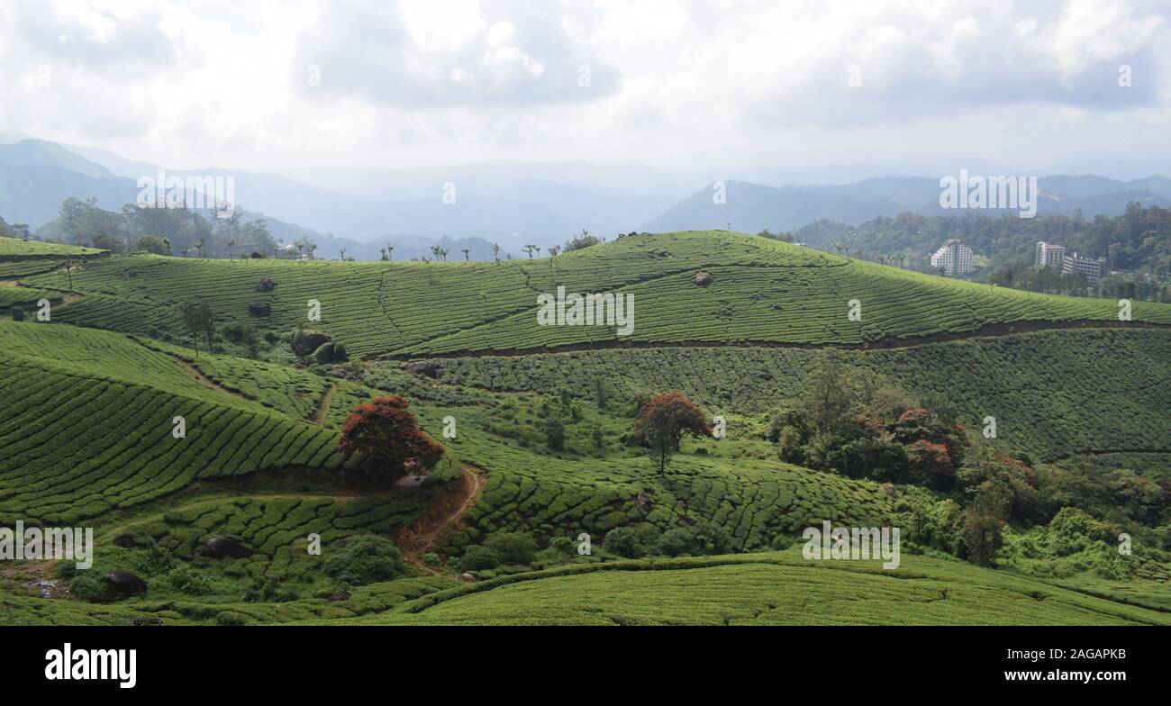 Beautiful view munnar hills hi-res stock photography and images - Alamy