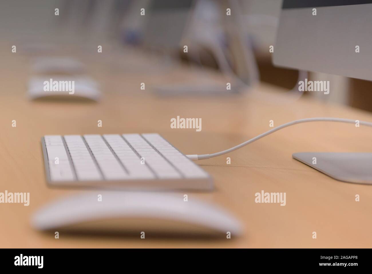 Modern office with computers on desks. Empty computer room in college ...