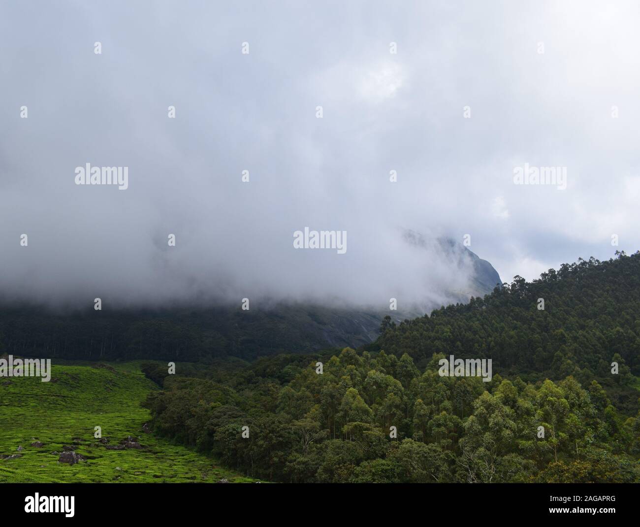 Beautiful view munnar hills hi-res stock photography and images - Alamy