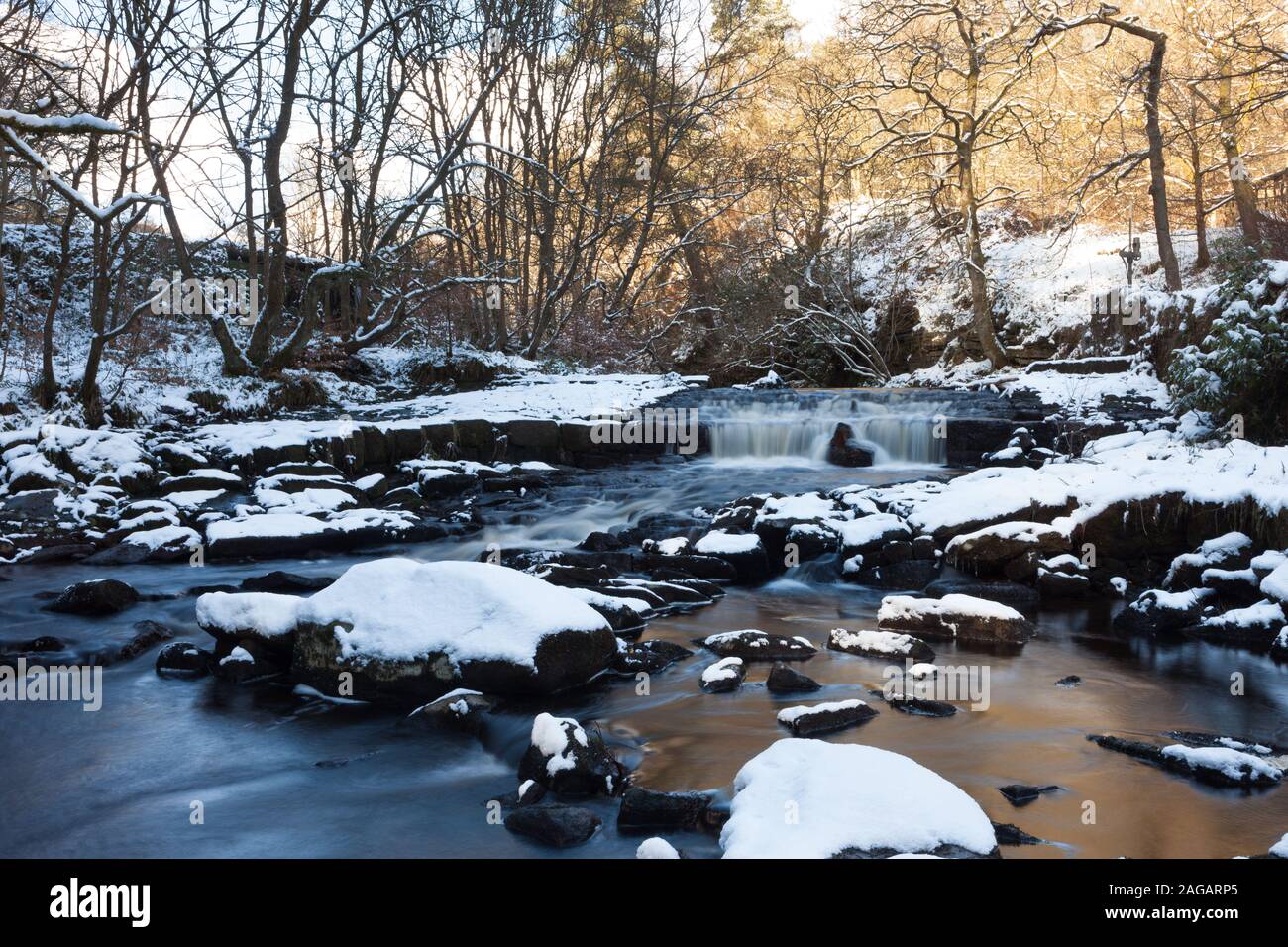 Hebden Water (river) flows through an snowbound wood on its way ...
