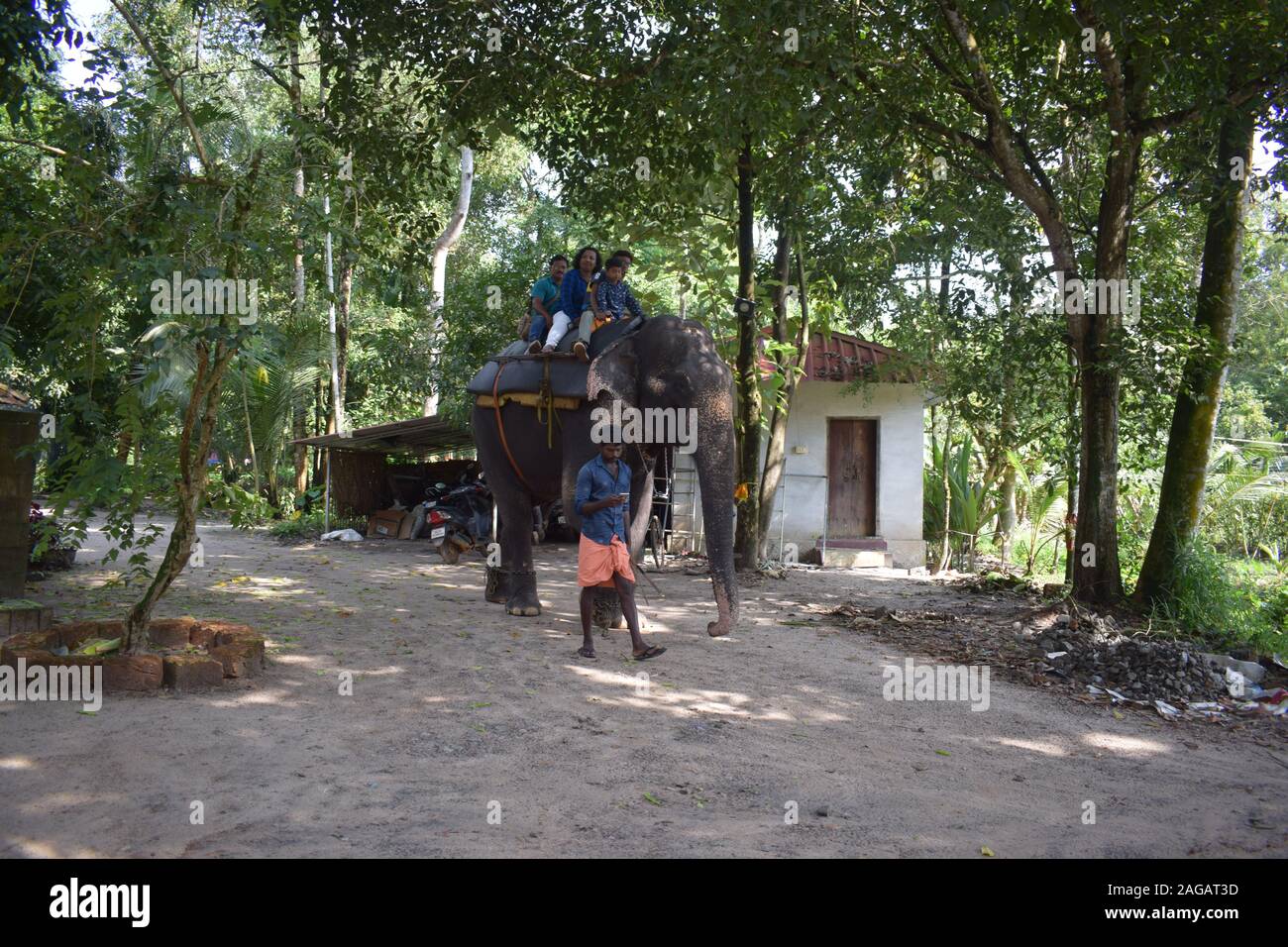 Kerala elephant hi-res stock photography and images - Alamy