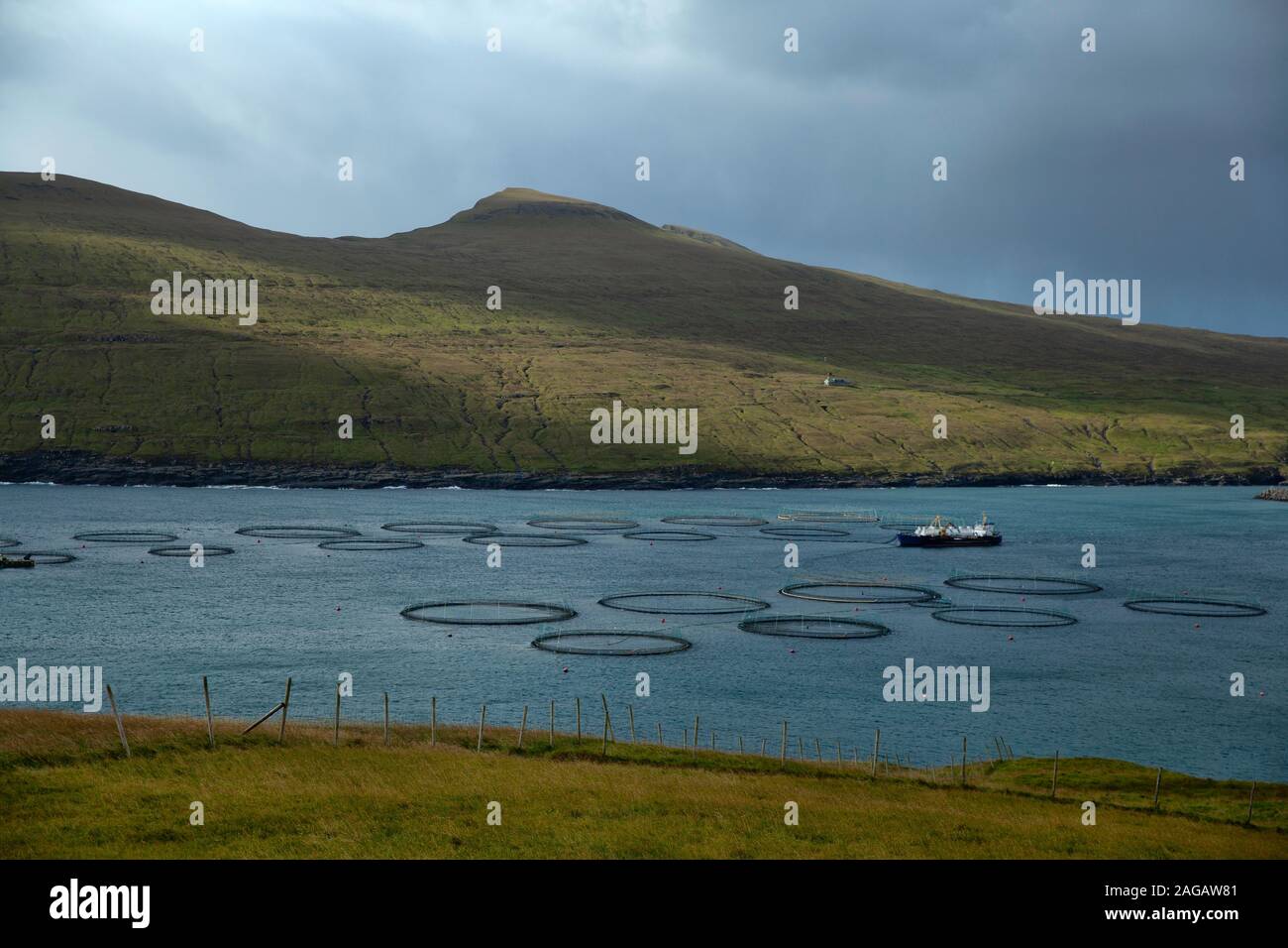 Aquaculture of Faroe islands showing a salmon farm Stock Photo - Alamy