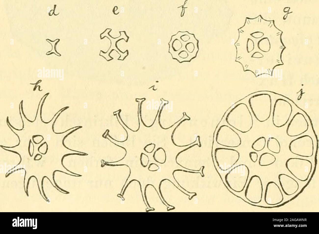 Shaped as the wheel turned hi-res stock photography and images - Alamy