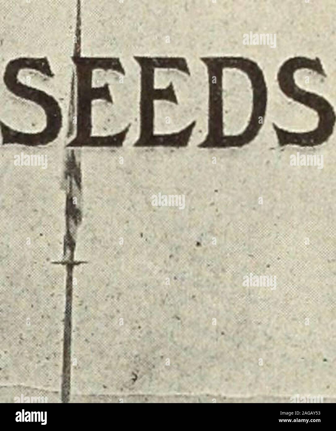 . Dreer's 1913 garden book. .HEMRTA DREER -PHILADELPHIA M- ^^REHABtE ...