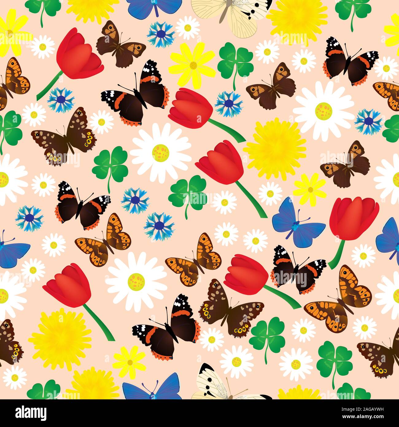 Species of butterflies hi-res stock photography and images - Alamy