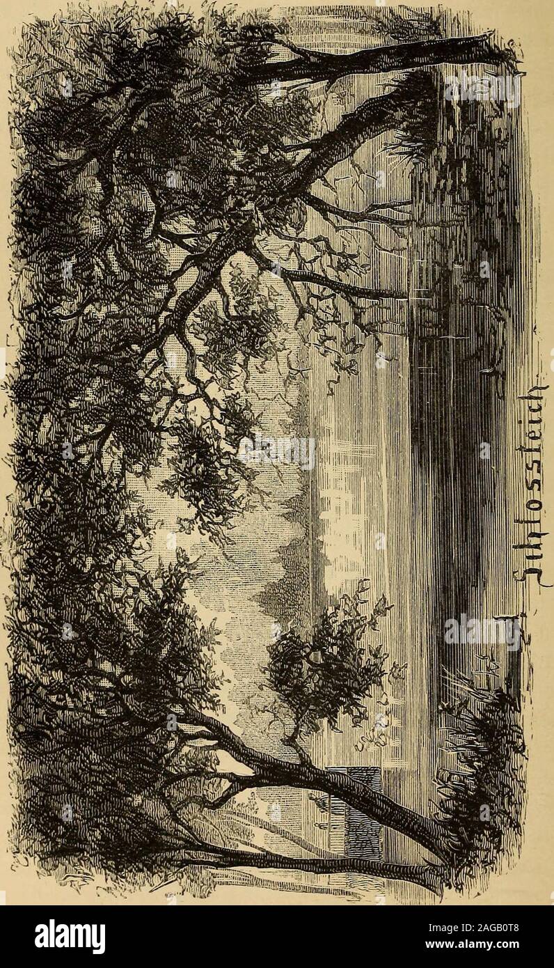 Whey bath switzerland hi-res stock photography and images - Alamy